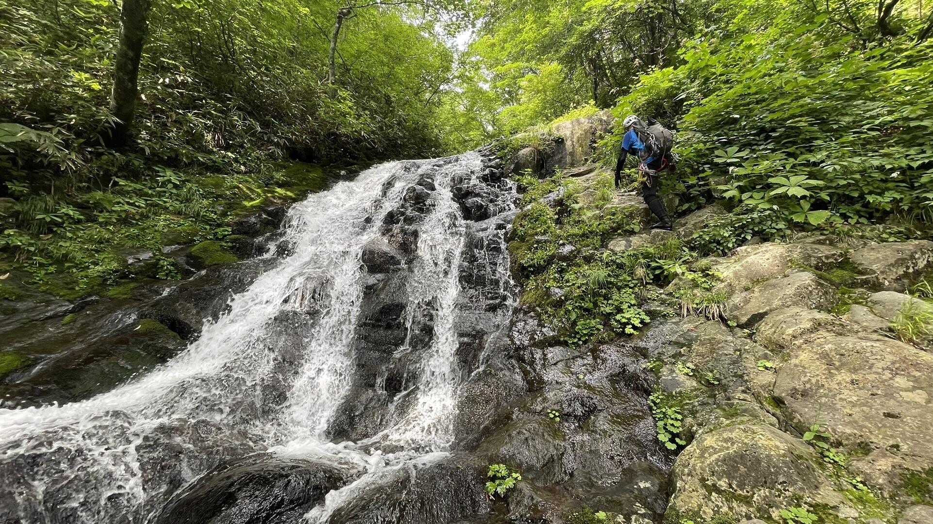 蔵王山・小阿寺沢 -2024-07-20 / satorinさんの蔵王山・雁戸山・不忘山の活動データ | YAMAP / ヤマップ