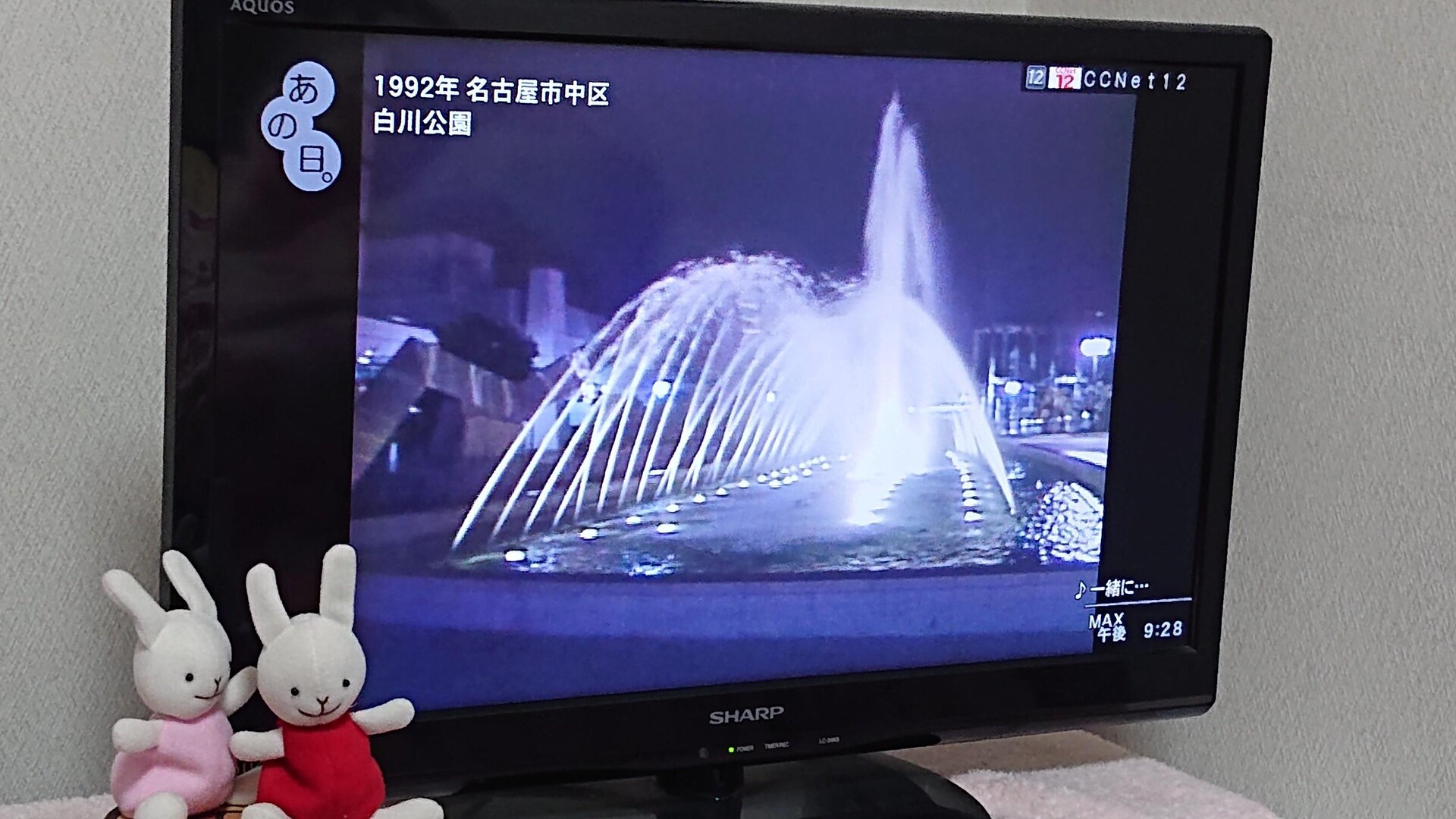 偶然ケーブルテレビに合わせたら…📺️ ... / 🍎ryoko🍎さんのモーメント | YAMAP / ヤマップ