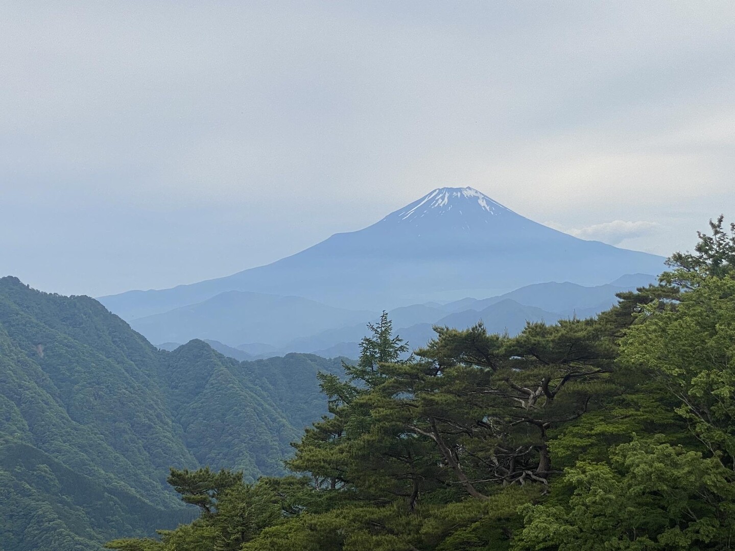 もはやこれまで…姫次・袖平山 / eijiさんの塔ノ岳・丹沢山・蛭ヶ岳の活動データ | YAMAP / ヤマップ