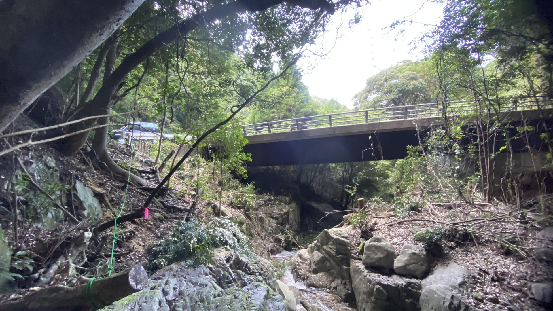 作礼橋登山口から整備-20240929 / かめラマンさんの作礼山の活動データ | YAMAP / ヤマップ