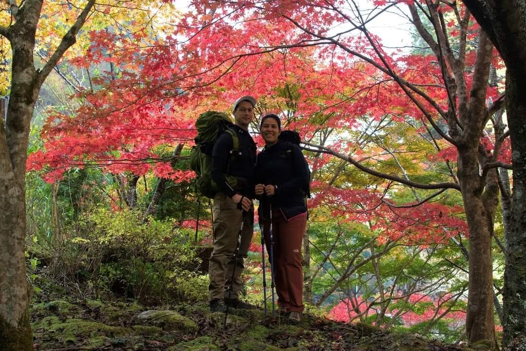 天女の頂・頂仙岳・日裏山・細尾山・明星ヶ岳・八経ヶ岳（八剣山・仏経ヶ岳）・弥山 / Loki1687さんの八経ヶ岳の活動データ | YAMAP / ヤマップ