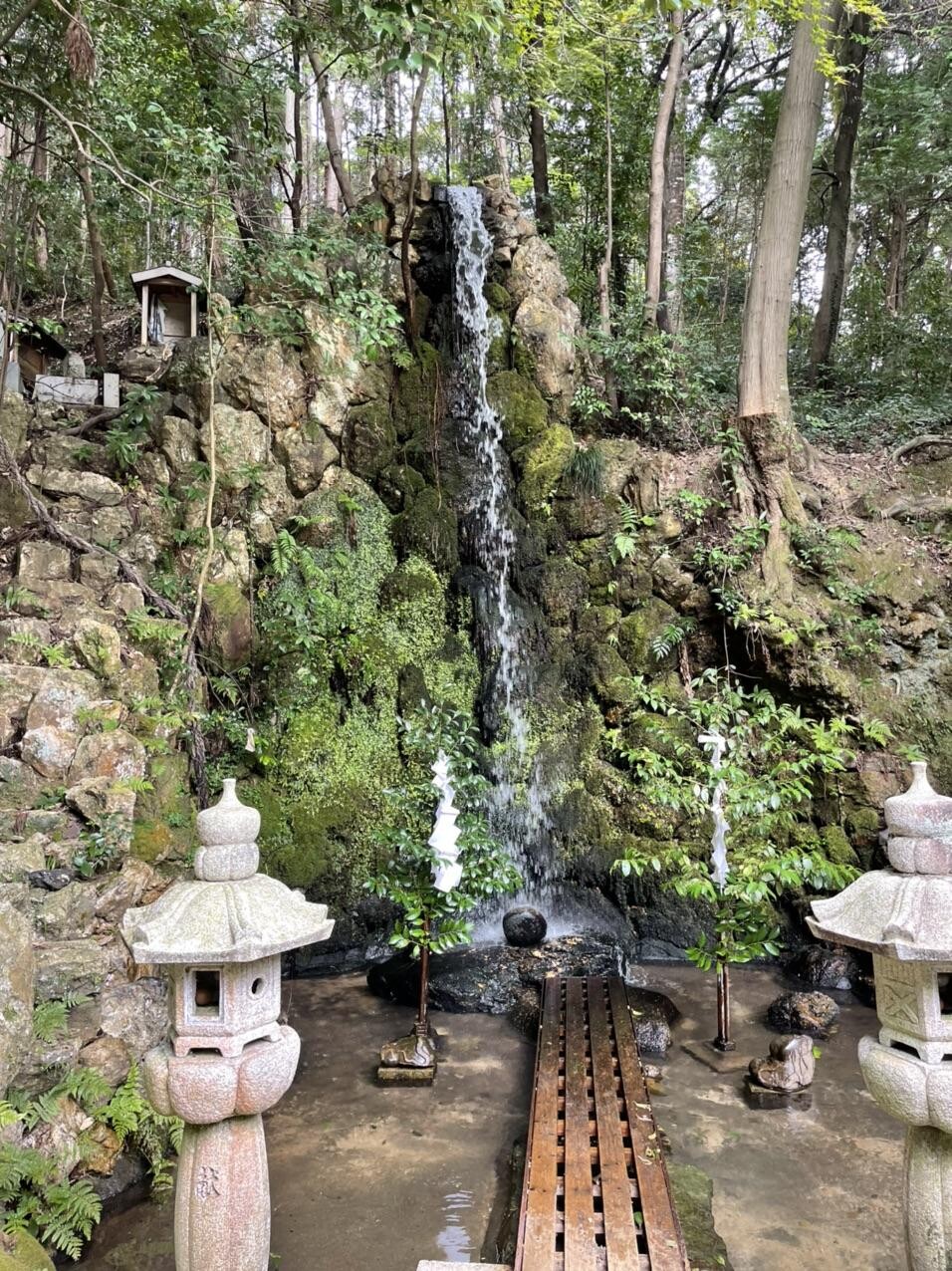 satoのページ | YAMAP / ヤマップ