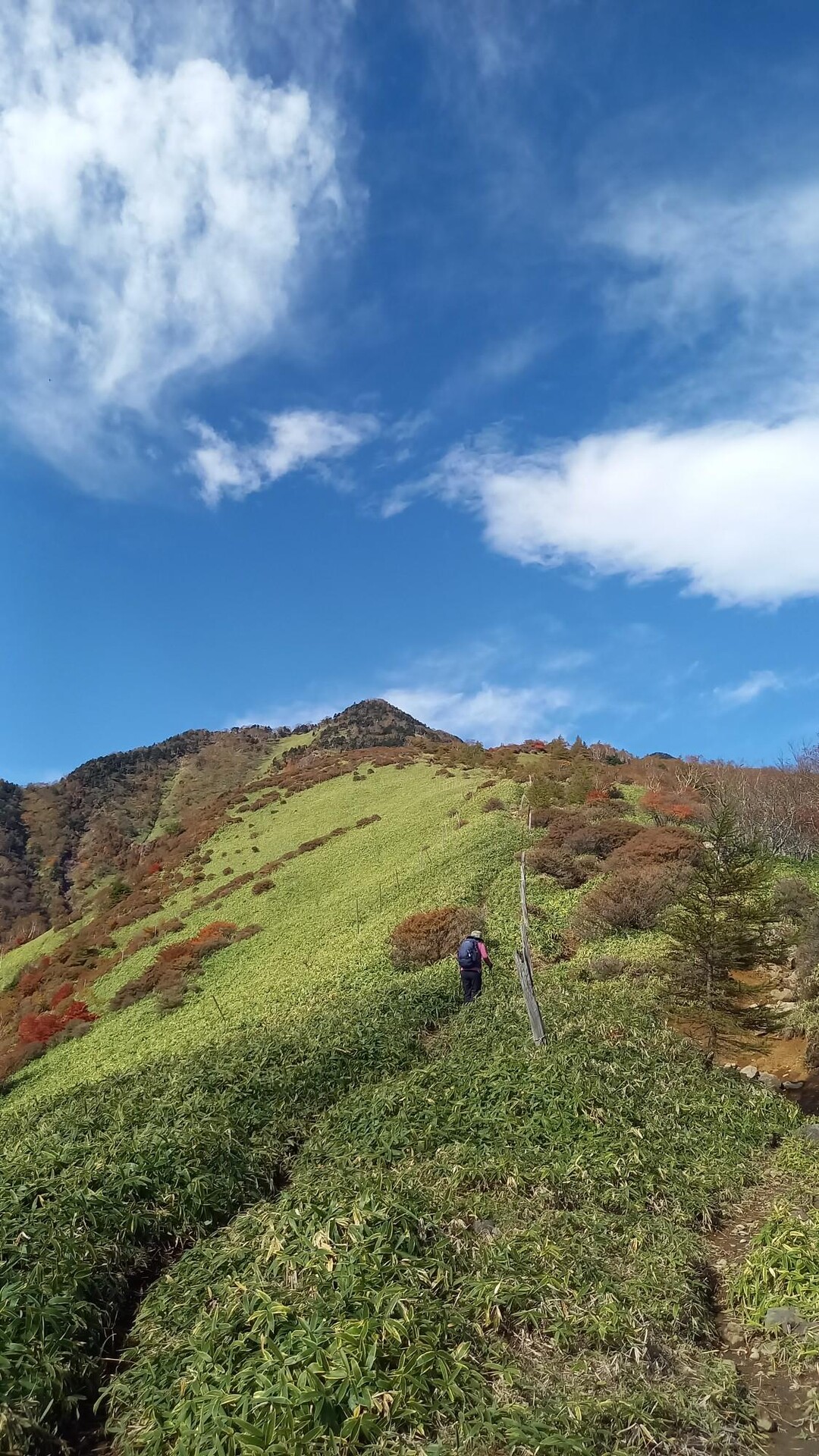 小丸山・赤薙山 / ぽつさんの女峰山・赤薙山・大真名子山の活動データ | YAMAP / ヤマップ