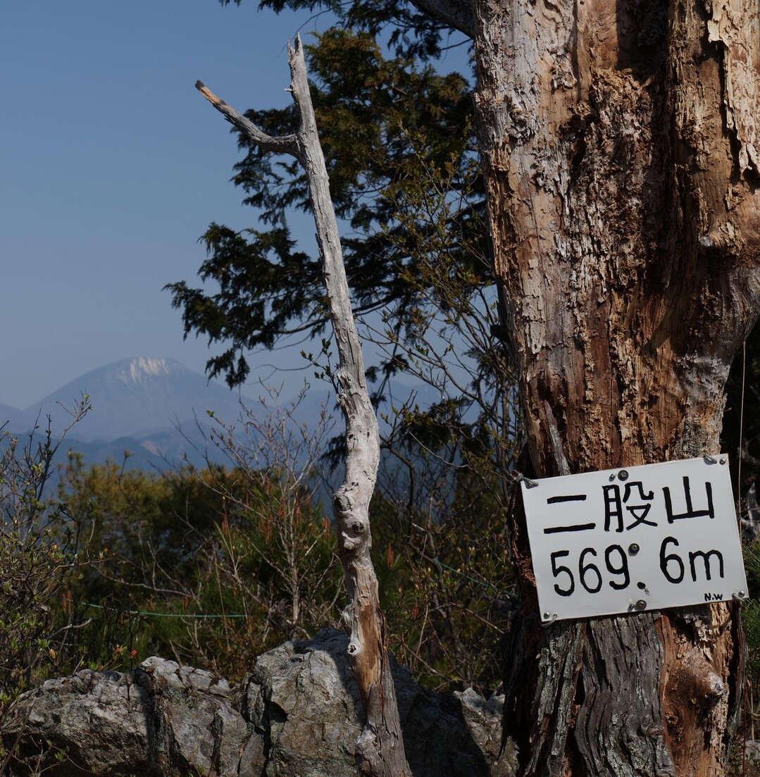 二股山 / でっかちさんの二股山・岩山の活動データ | YAMAP / ヤマップ