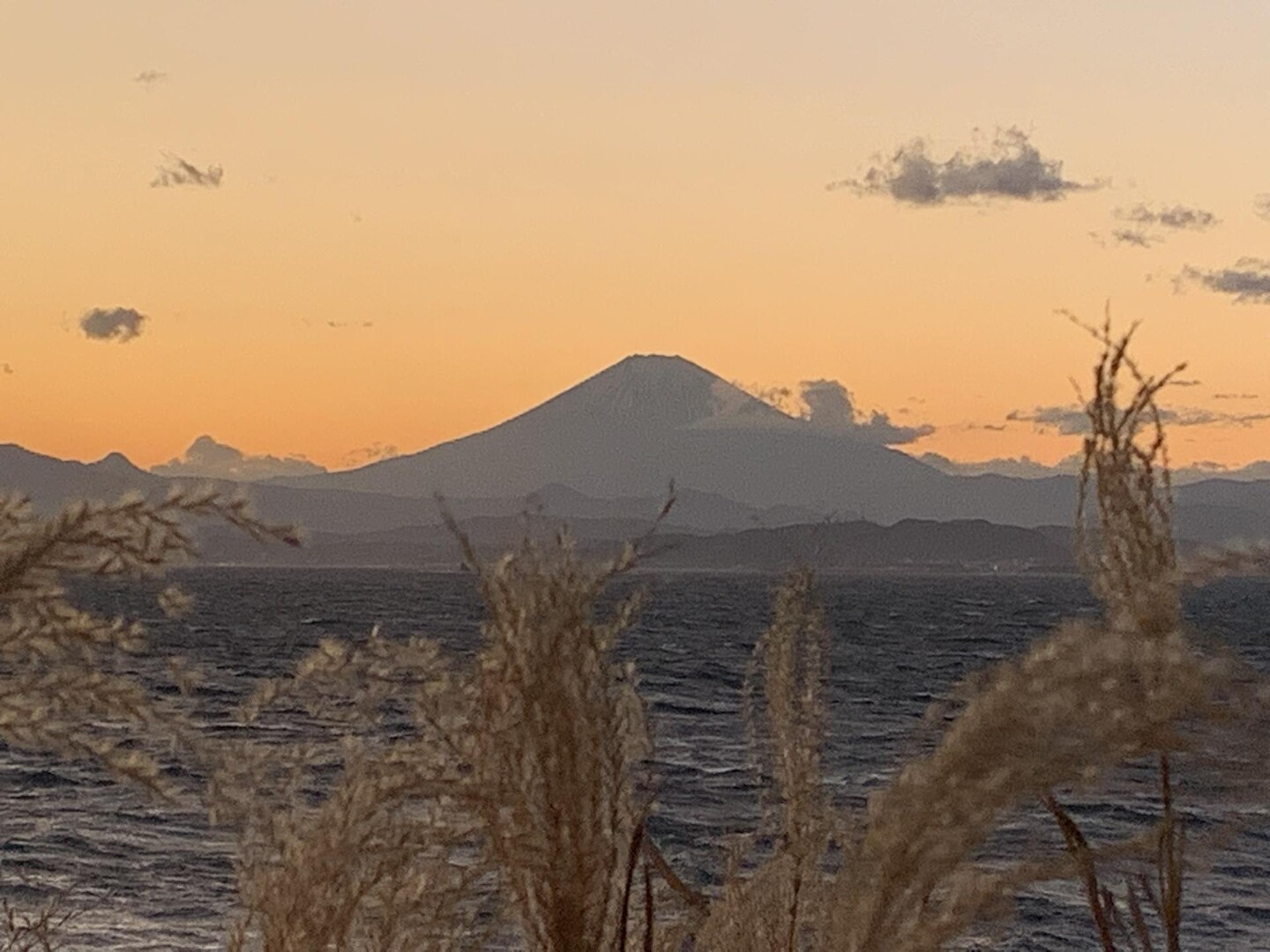 大晦日 江ノ島神社参拝⛩️🏝️ / ayu ayuさんのウォーキングの活動データ | YAMAP / ヤマップ