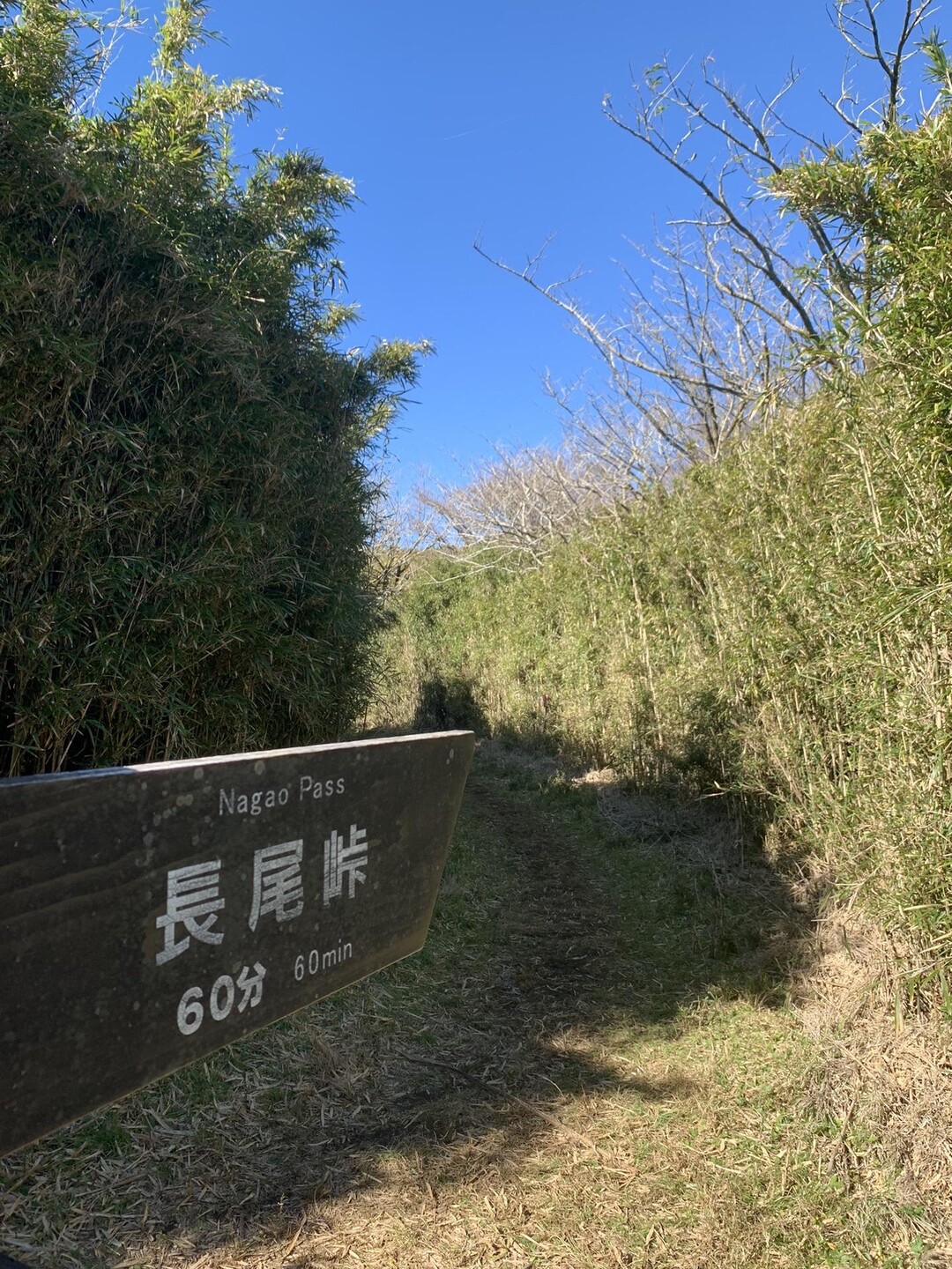 erinaさんの投稿したフィールドメモ | YAMAP / ヤマップ