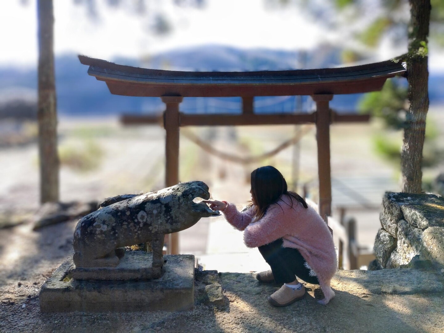 白河市🐶狛犬巡り🐶 / いず子さんのウォーキングの活動データ | YAMAP / ヤマップ