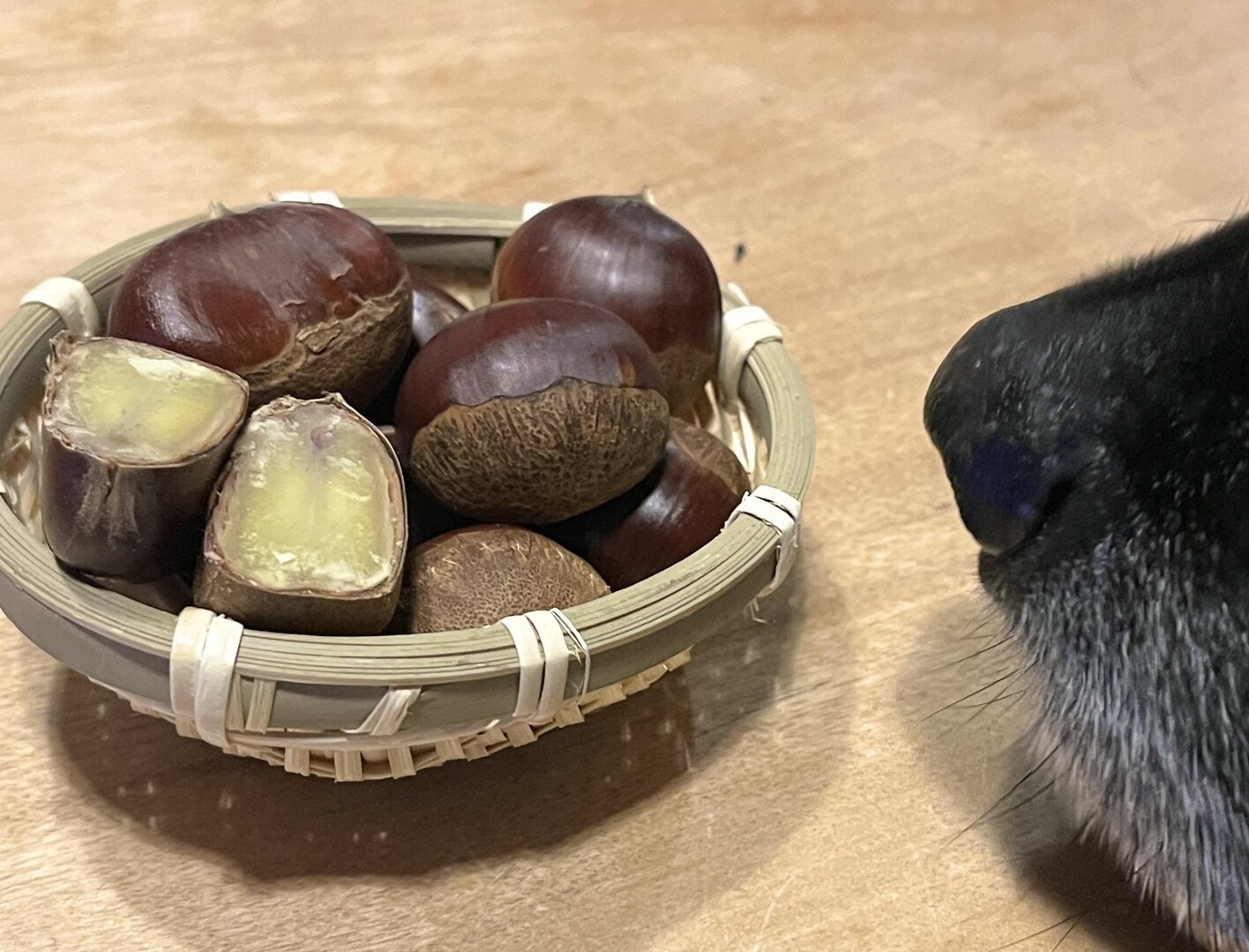 赤坂山(寺口山)で拾った栗🌰 1ヶ月以... / kojiyadさんのモーメント | YAMAP / ヤマップ