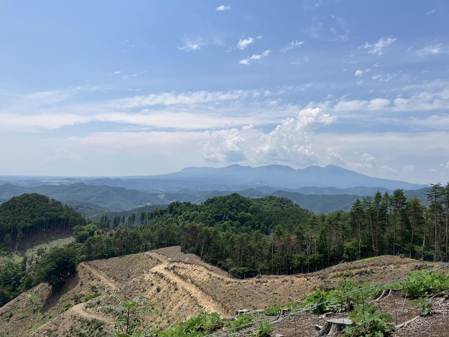 吾妻山・女吾妻山・岩木戸山・萓野山 / REI - KOさんの鳴神山・吾妻山の活動データ | YAMAP / ヤマップ