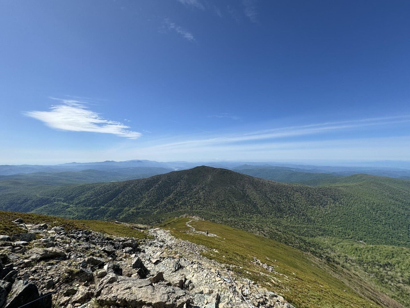 早池峰山 2024-05-26 / omiさんの早池峰山・薬師岳・鶏頭山の活動データ | YAMAP / ヤマップ