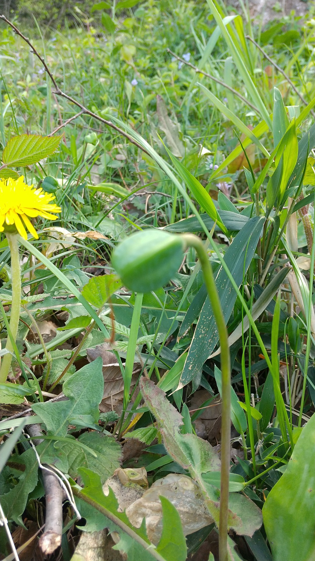 YAMAPのフォロワーさんの日記に刺激さ... / okina.2さんのモーメント | YAMAP / ヤマップ