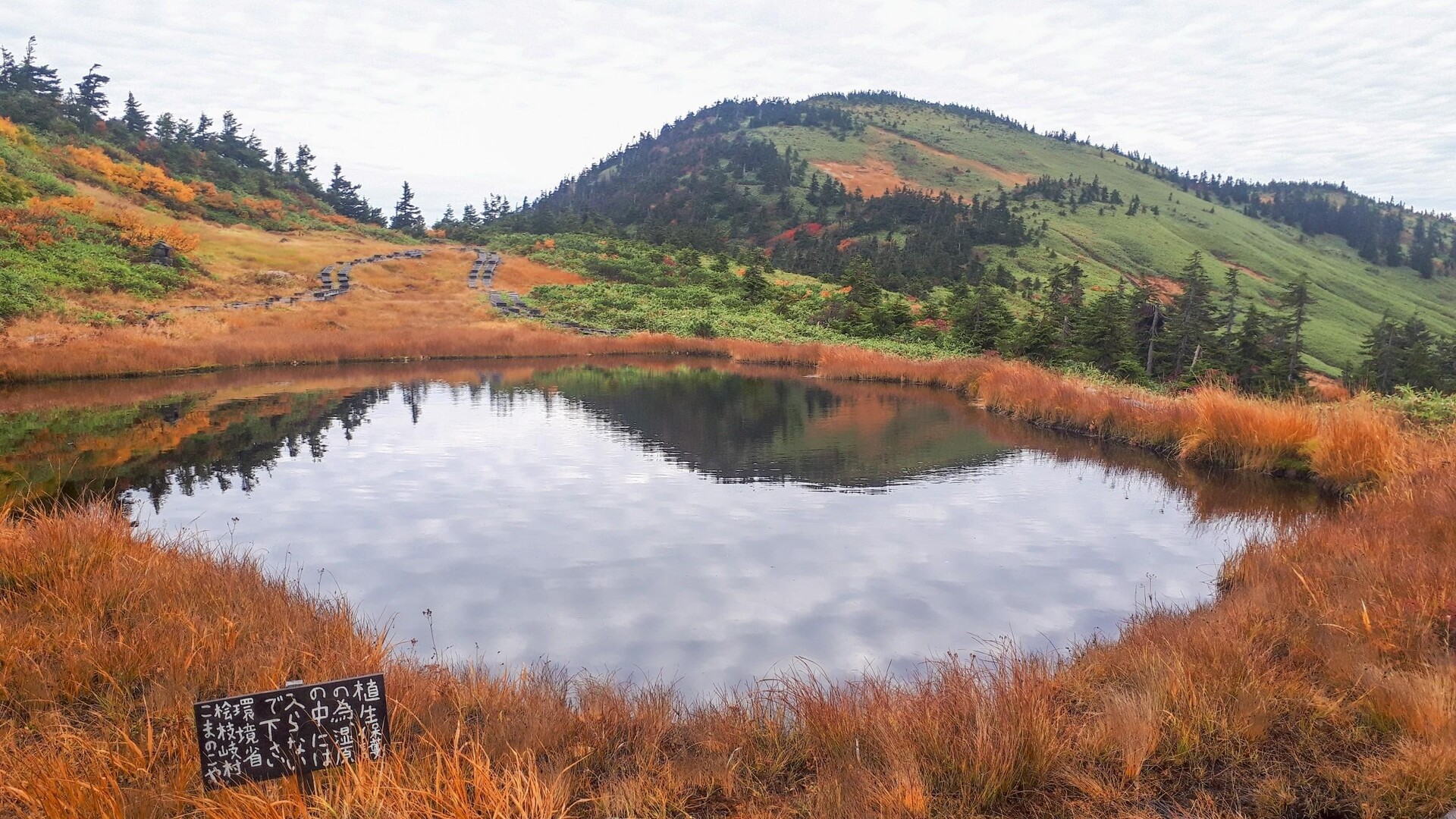 会津駒ヶ岳・中門岳🍁 / tomokoさんの会津駒ヶ岳の活動データ | YAMAP / ヤマップ