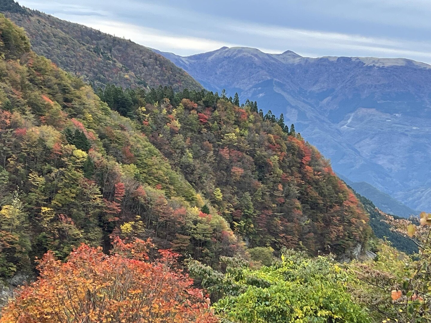 矢筈山・石堂山・烏帽子山・前烏帽子山・落禿：予定外の周回😅 / mipiさんの矢筈山・黒笠山の活動データ | YAMAP / ヤマップ