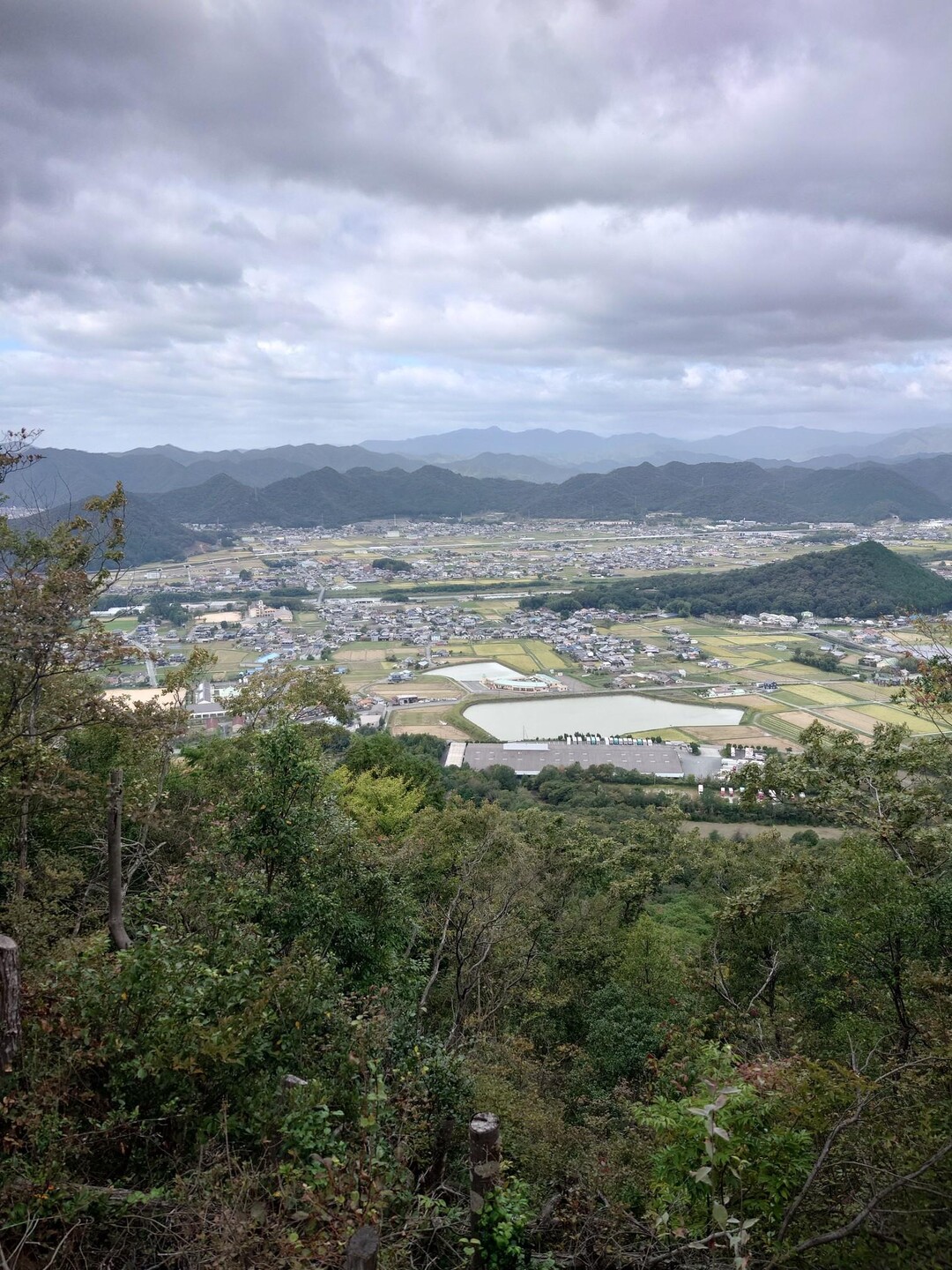 比延山 / palさんの八日山・西林寺山の活動データ | YAMAP / ヤマップ