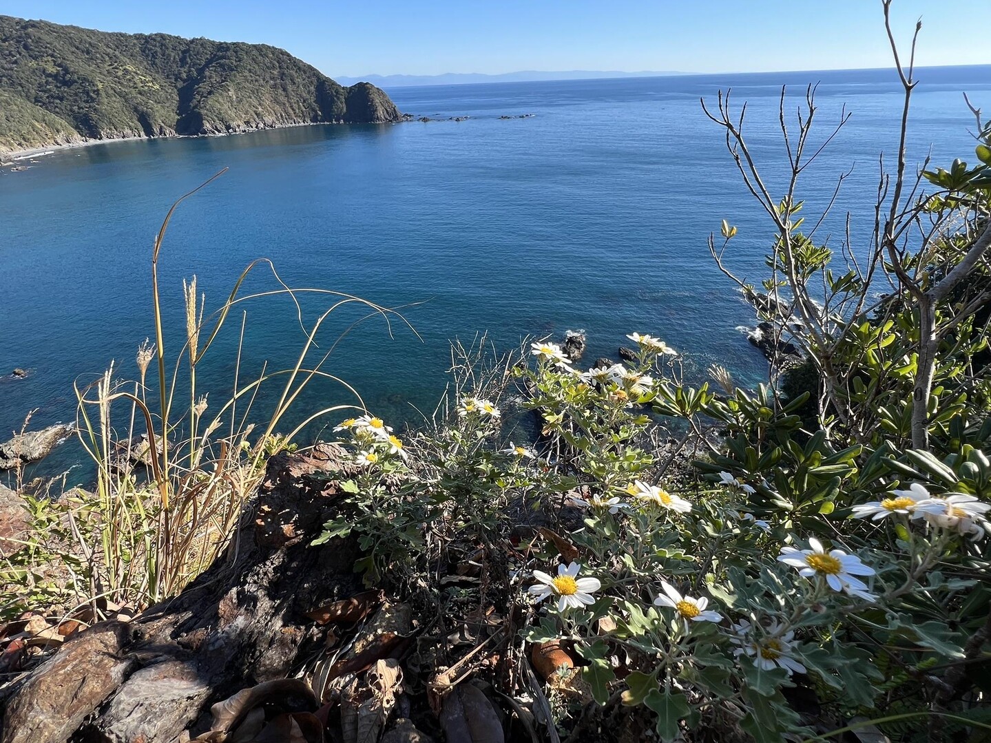 初めての横浪半島の岬めぐり😊 / mipiさんの波介山・横瀬山・茶臼山の活動日記 | YAMAP / ヤマップ
