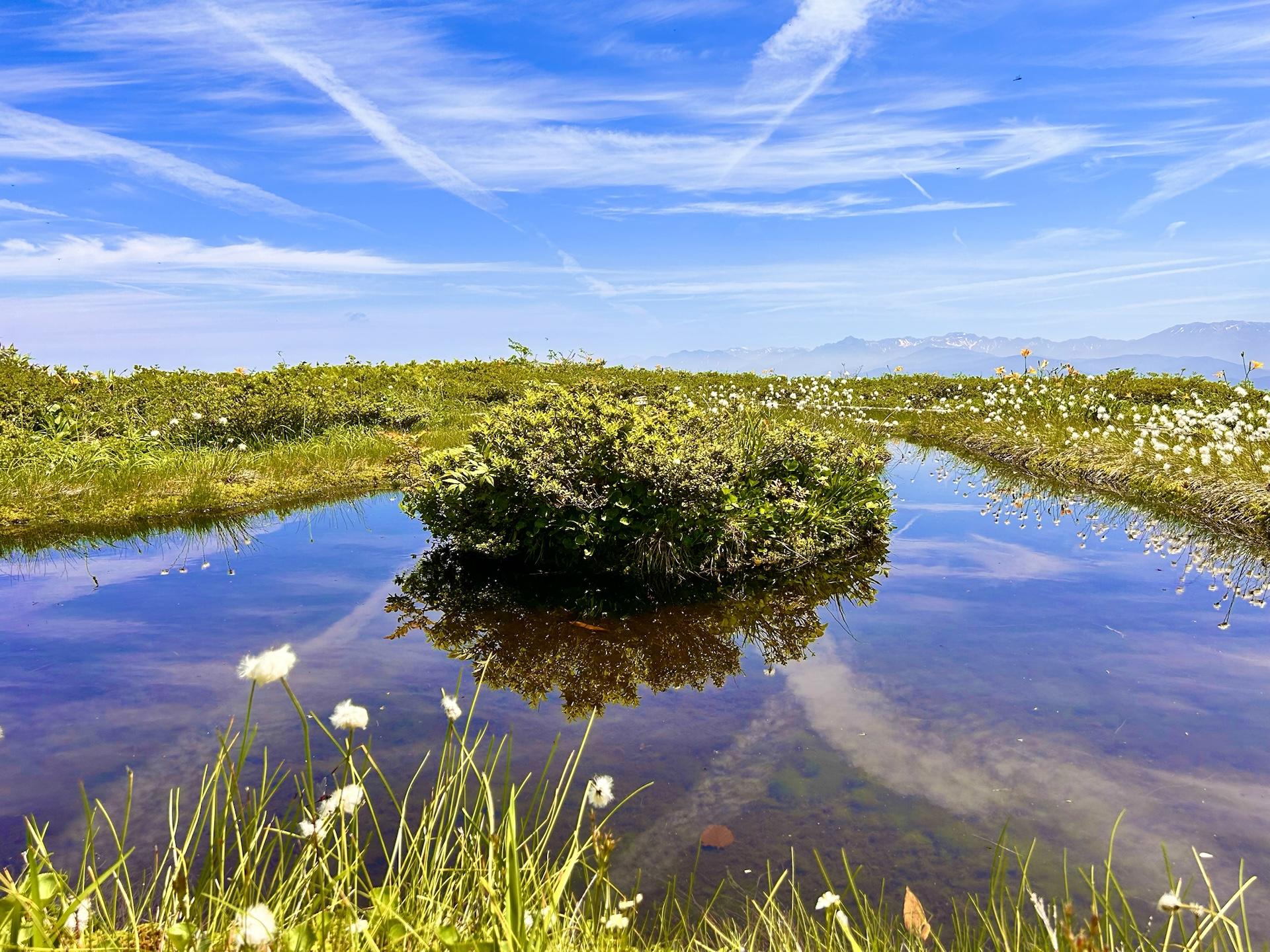 白木峰・北白木峰 / godeyeさんの白木峰・小白木峰の活動日記 | YAMAP / ヤマップ