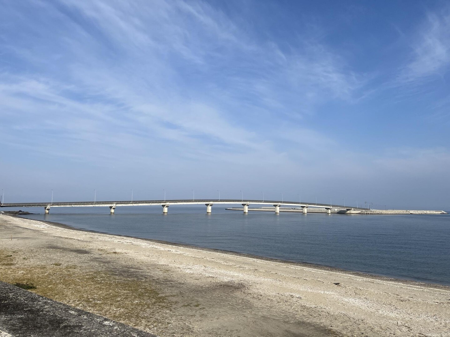 ランニング-2025-01-19 / yanmaさんの行橋市の活動データ | YAMAP / ヤマップ