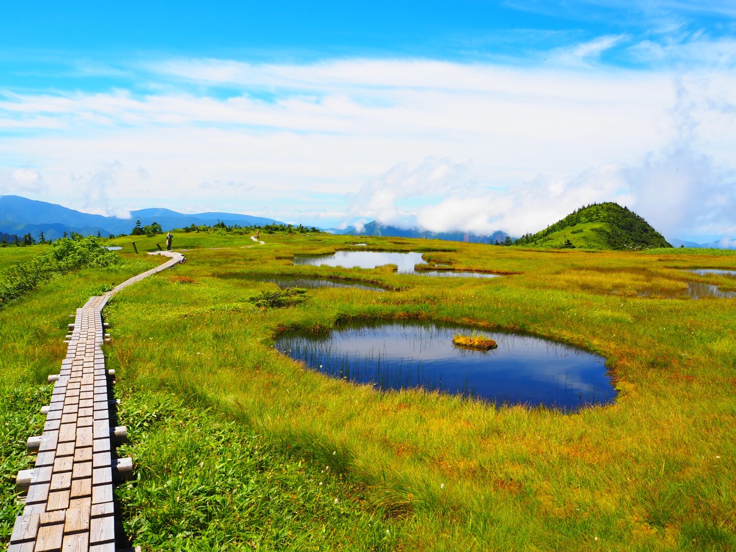 秋、始まったかな、苗場山 / 天ぷらケンジJyJyさんの苗場山・赤倉山・佐武流山の活動データ | YAMAP / ヤマップ