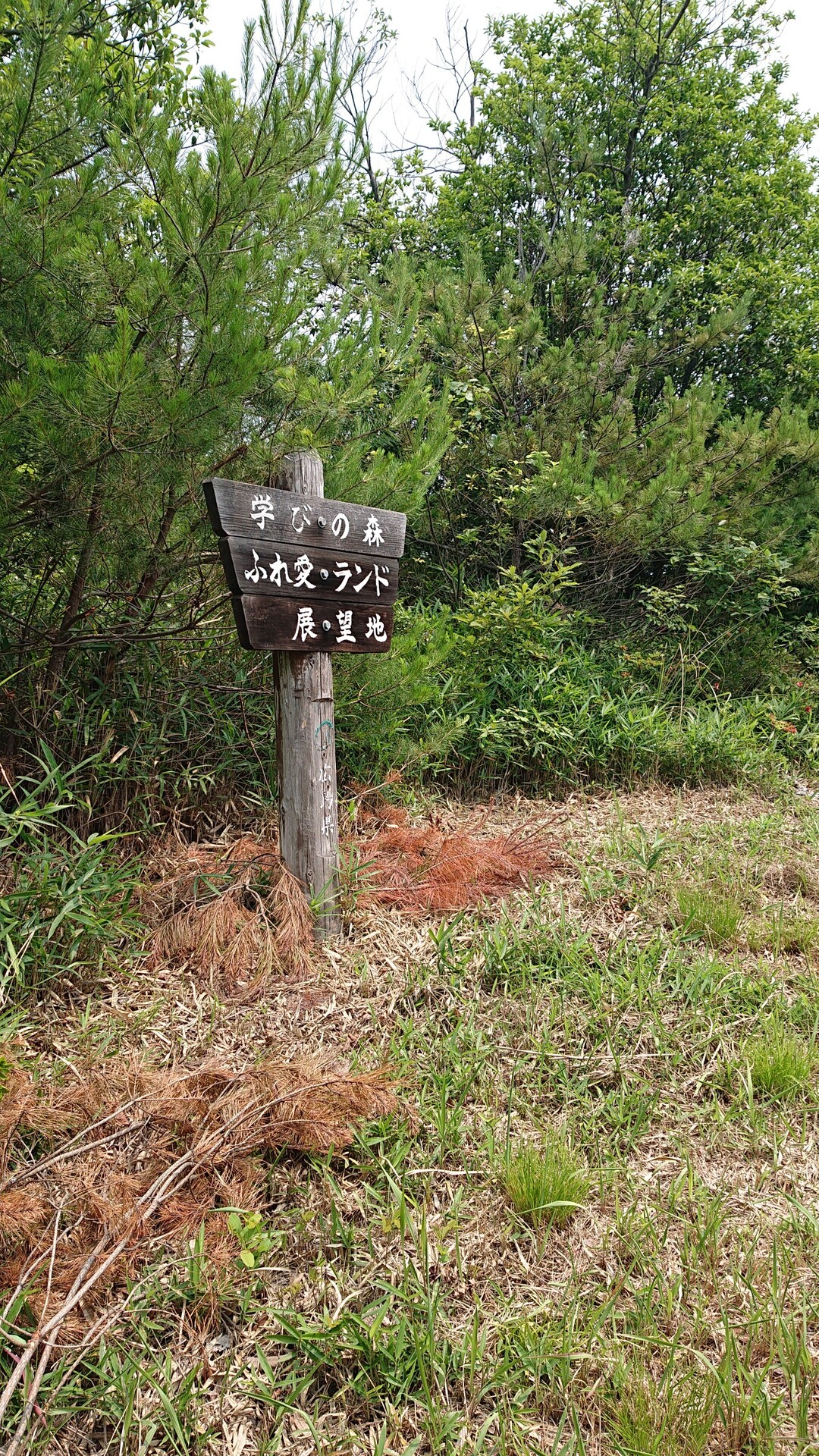 ふれ愛ランドから福山SA-2019-06-19 / 大谷山の写真5枚目 | YAMAP / ヤマップ