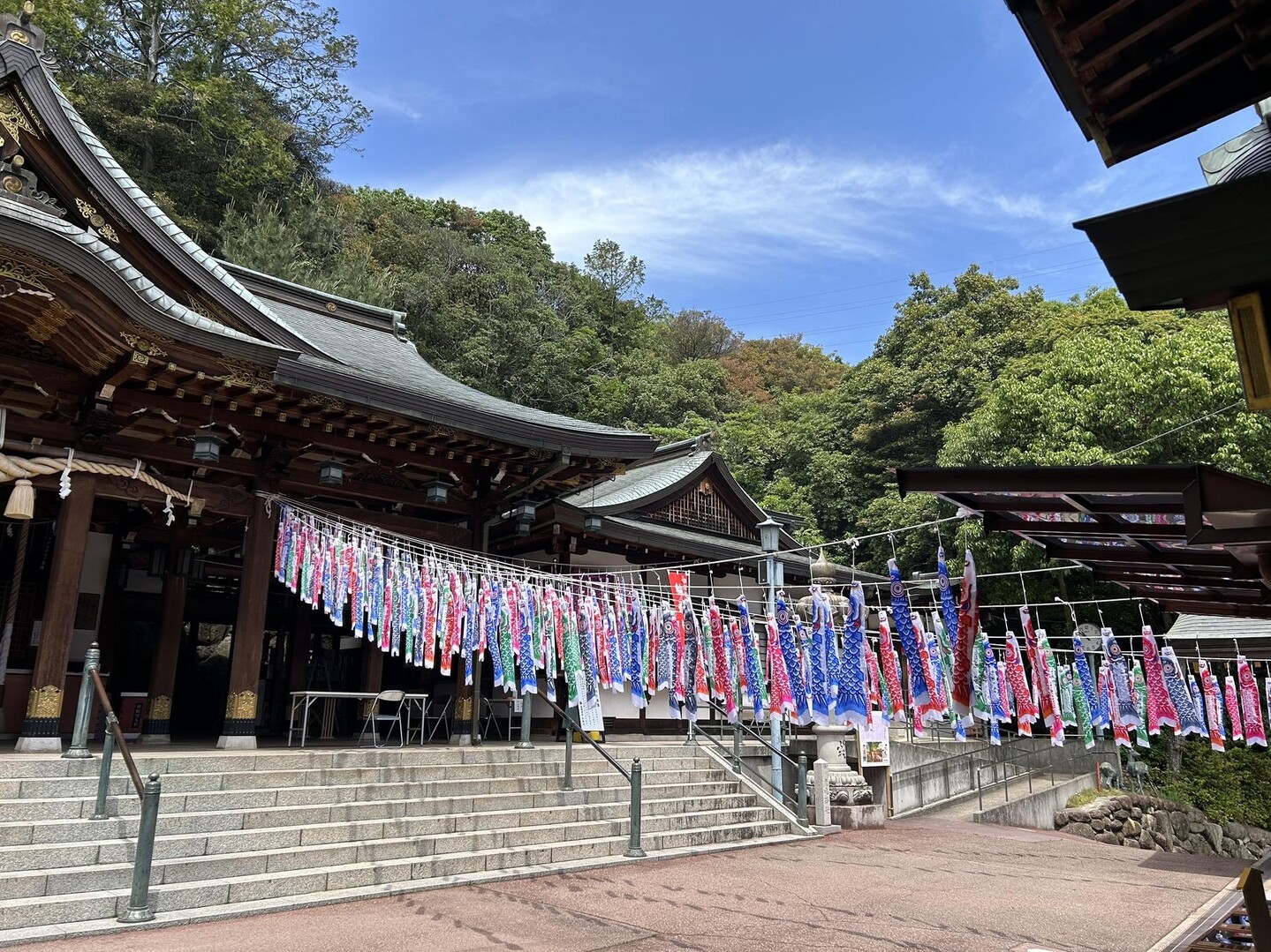 別所奥山・鷹ノ巣山 / Black_shinさんの高御位山・播磨アルプスの活動データ | YAMAP / ヤマップ