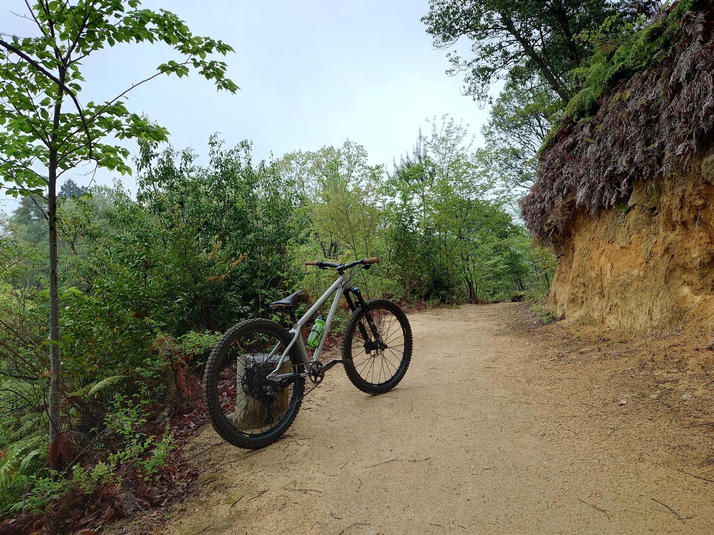 MTB Riding@裏山 / ひでたかさんのサイクリングの活動データ | YAMAP / ヤマップ