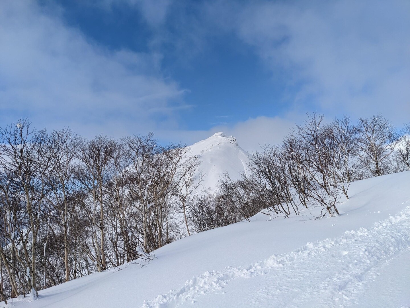 この地で初のピークに立つ。 光が無く平衡... / おーぢさんのモーメント | YAMAP / ヤマップ