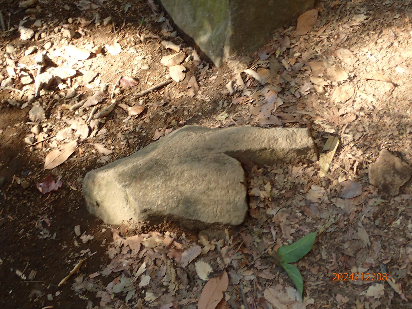 大山「指差し岩」ついに見つけました / onoさんの大山の活動日記 | YAMAP / ヤマップ