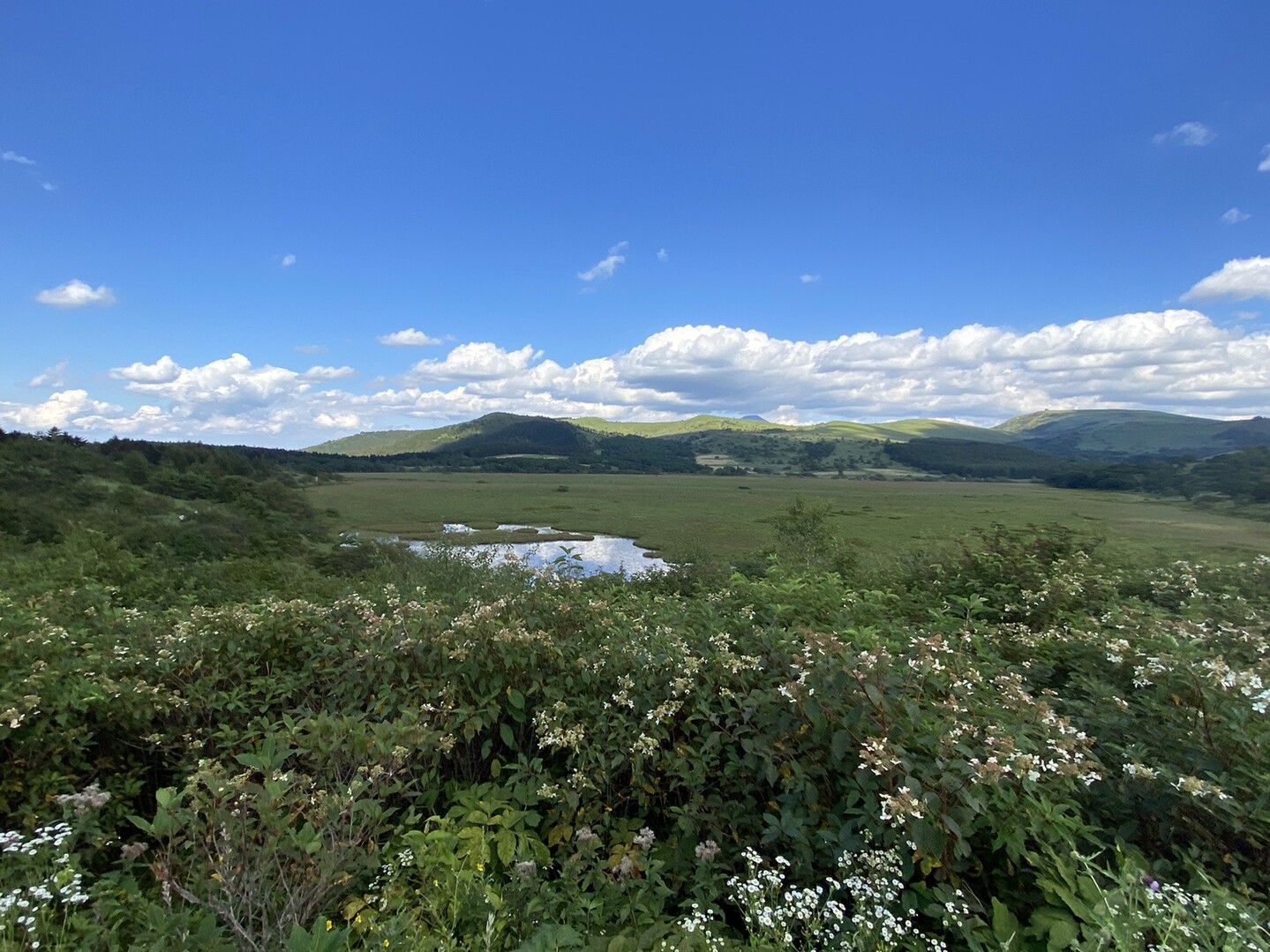 車山〜八島湿原 / Tamiyoさんの霧ヶ峰・車山・大笹峰の活動データ | YAMAP / ヤマップ