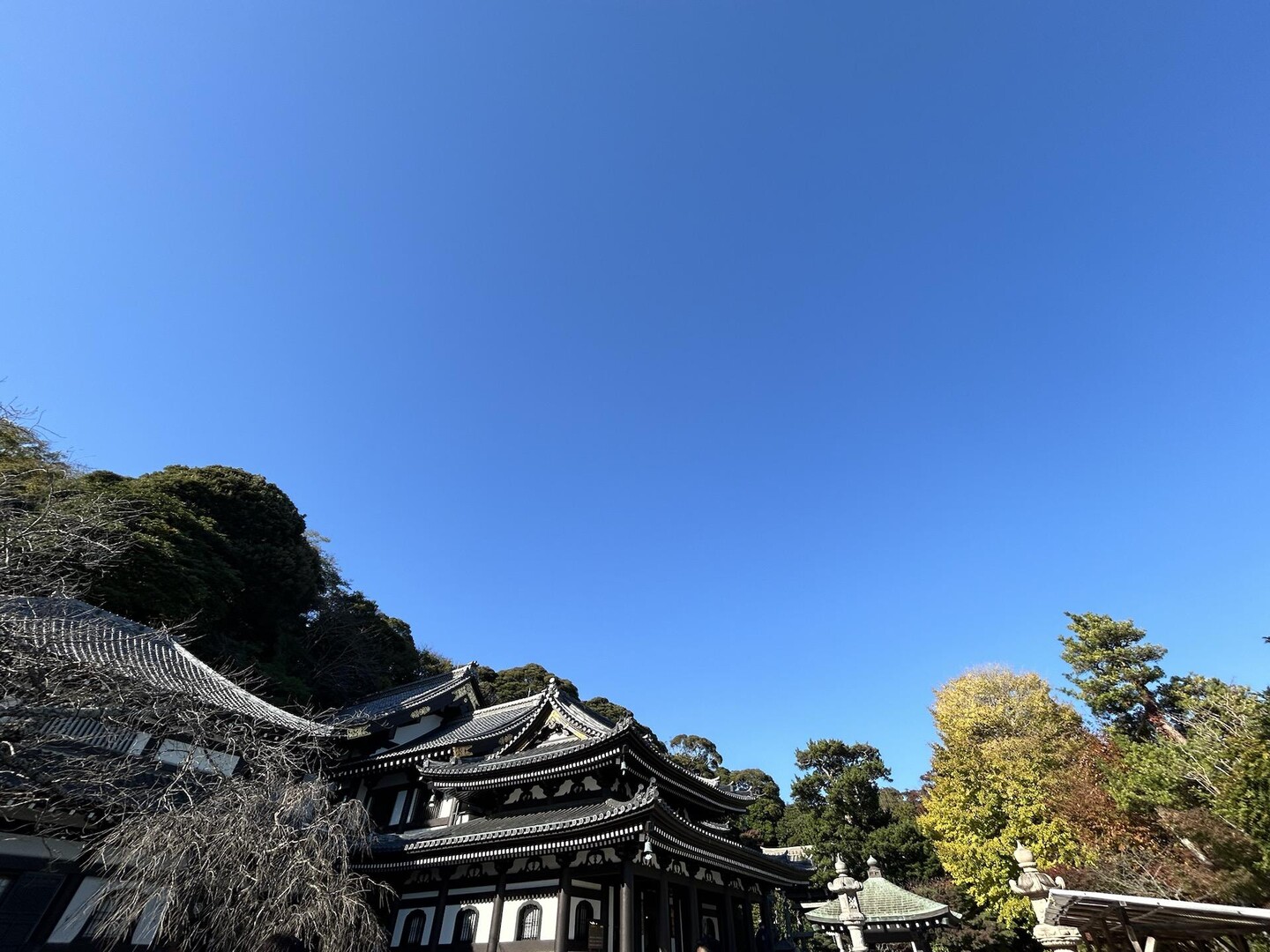 秋の鎌倉散歩🍁👘🍁 紅葉はまだ先か... / ayanonさんのモーメント | YAMAP / ヤマップ