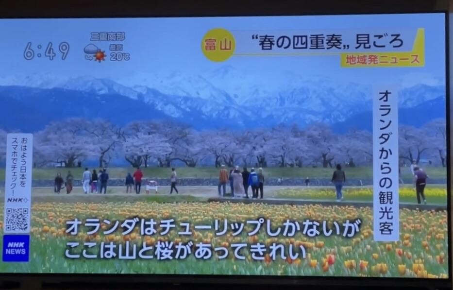 あさひ舟川 春の四重奏！春の富山を満喫‼️ / 富山市の写真53枚目 / 今朝のNHKニュースで‼️ おしまい、 | YAMAP / ヤマップ