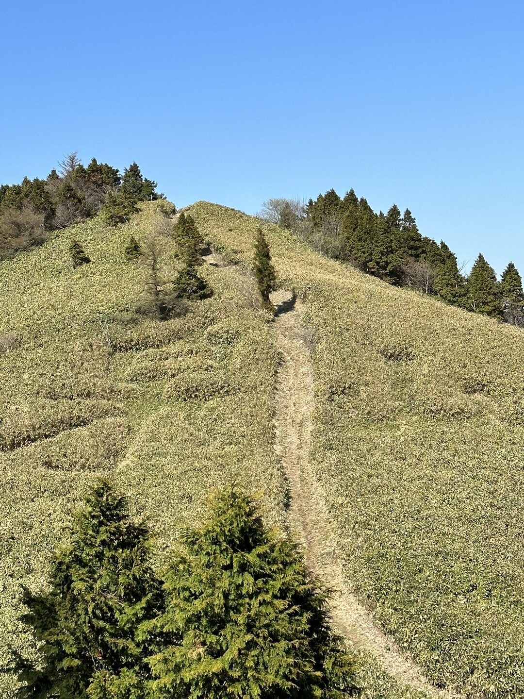 泉山 / BBQ智さんの泉山・井水山・黒沢山の活動データ | YAMAP / ヤマップ