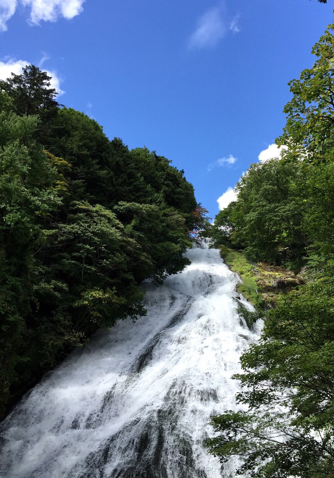 日光戦場ヶ原（赤沼〜湯滝〜湯ノ湖） / hit-omiさんの男体山の活動データ | YAMAP / ヤマップ