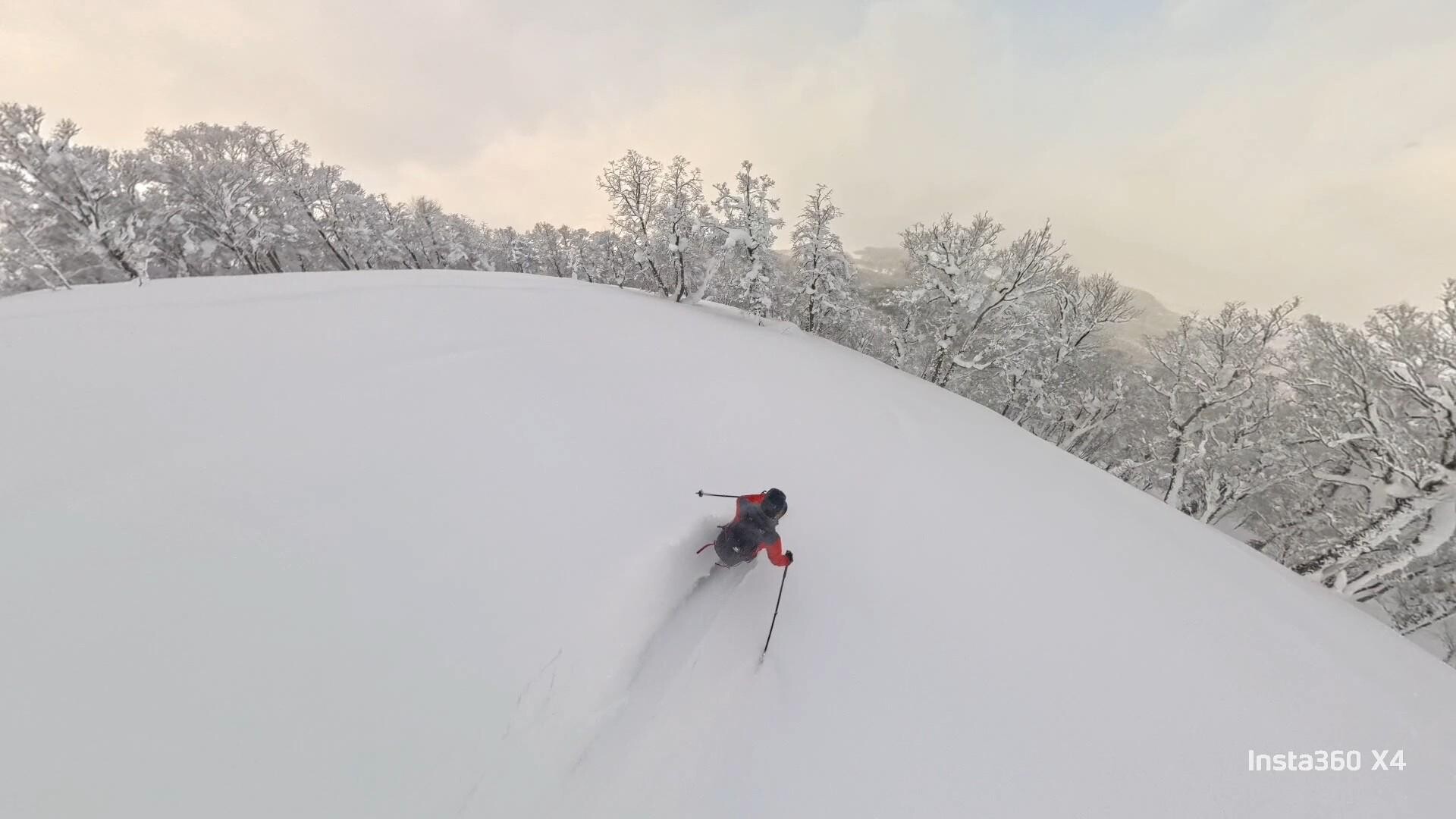 ⛷冬路山BC 幌加内側から -2025-01-03 / moさんの丸山・三面山・シラッケ山の活動データ | YAMAP / ヤマップ