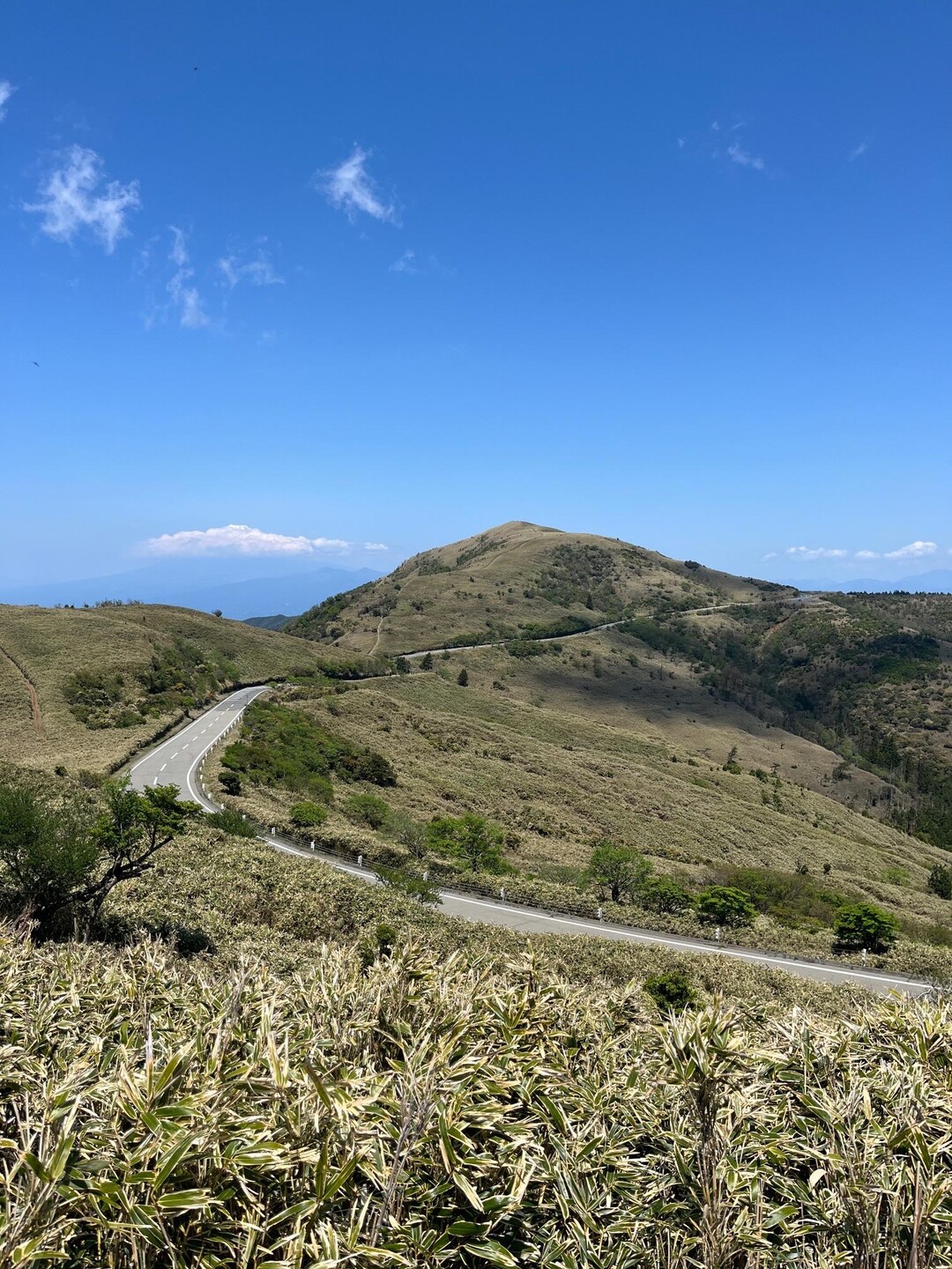 伊豆山陵線歩道縦走 天城峠から戸田峠まで33.5km / yasuhさんの棚場山・魂の山・猫越岳の活動データ | YAMAP / ヤマップ