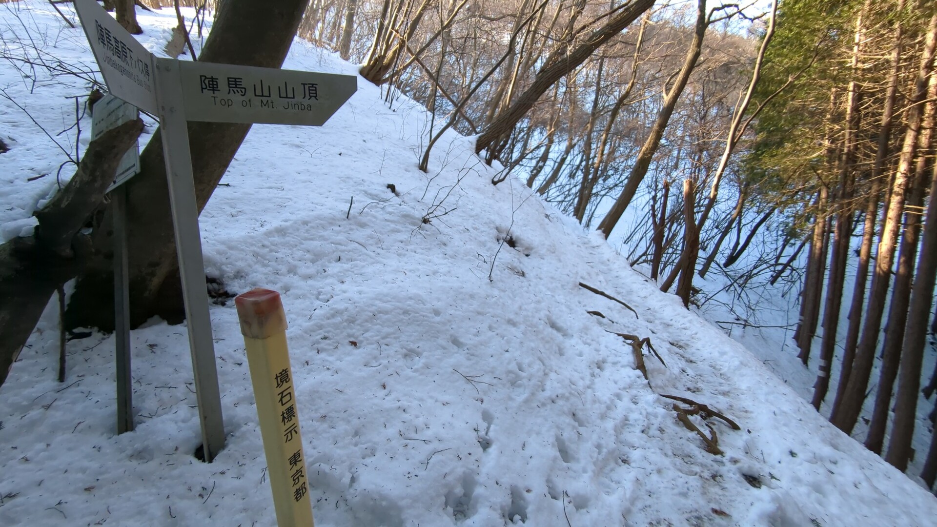 pitoring_さんの投稿したフィールドメモ | YAMAP / ヤマップ