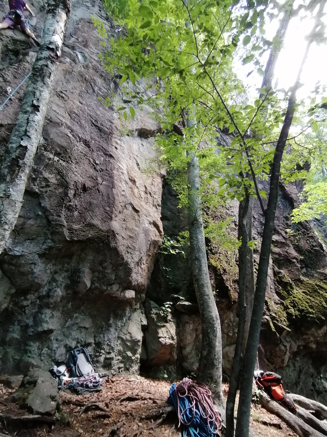 初めての外岩クライミングに行ってきました... / aya-koさんのモーメント | YAMAP / ヤマップ