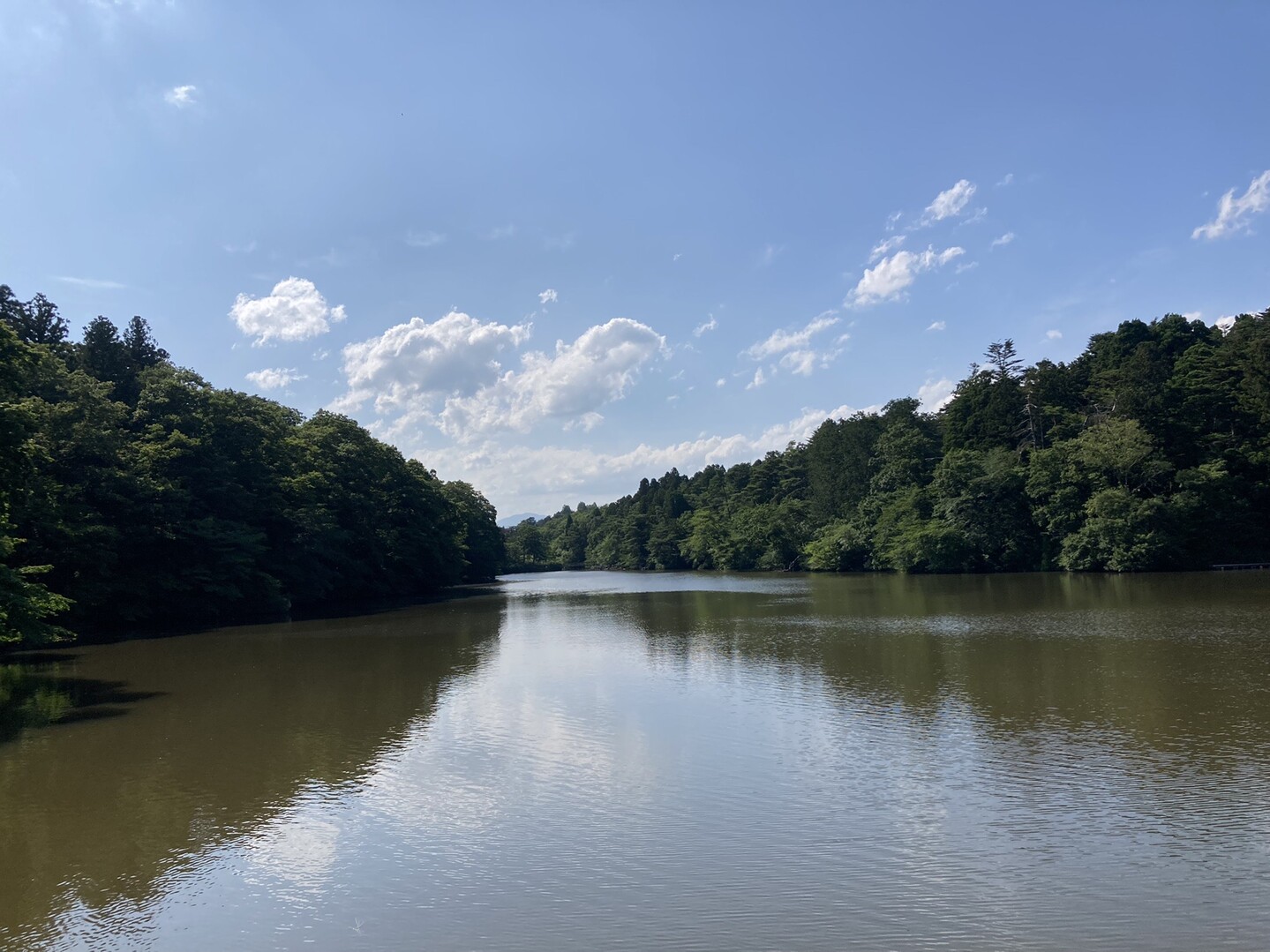 こんにちは^ ^ 今日は36度を超える... / OBsunさんのモーメント | YAMAP / ヤマップ