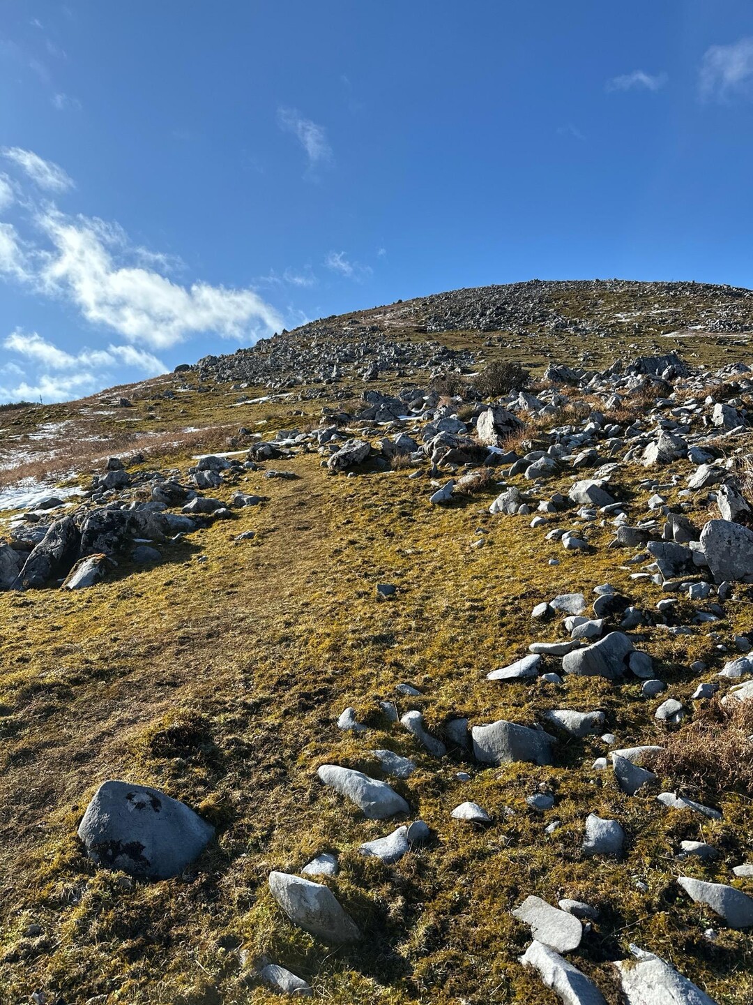 経塚山・霊仙山・霊仙山最高点・南霊岳 / Ayumi🦙🌼さんの霊仙山の活動日記 | YAMAP / ヤマップ