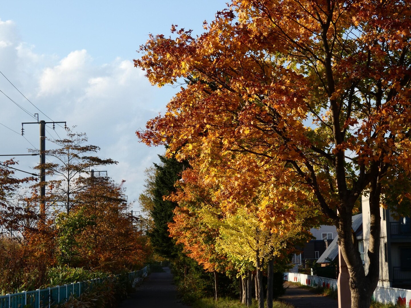 歩活、鳥活からの撮り鉄。 / doaraさんのウォーキングの活動データ | YAMAP / ヤマップ