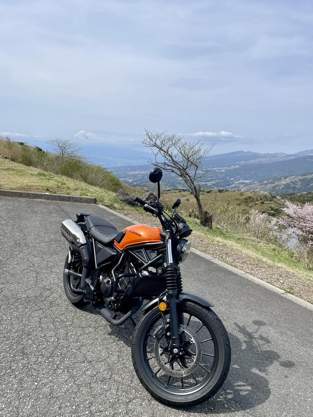 達磨山 / tomさんの金冠山・達磨山・葛城山の活動日記 | YAMAP / ヤマップ