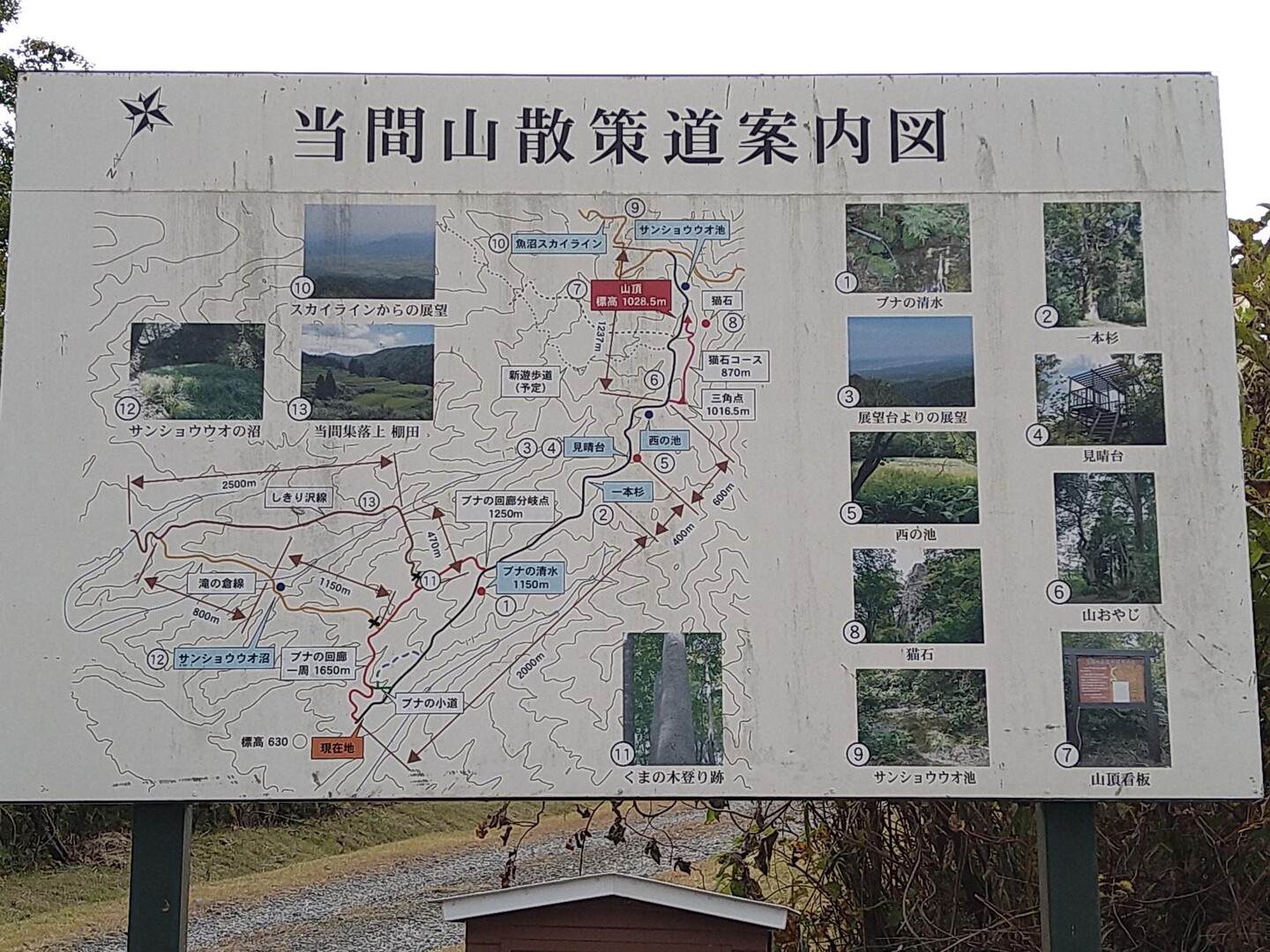 当間山 / シノさんの当間山の活動データ | YAMAP / ヤマップ