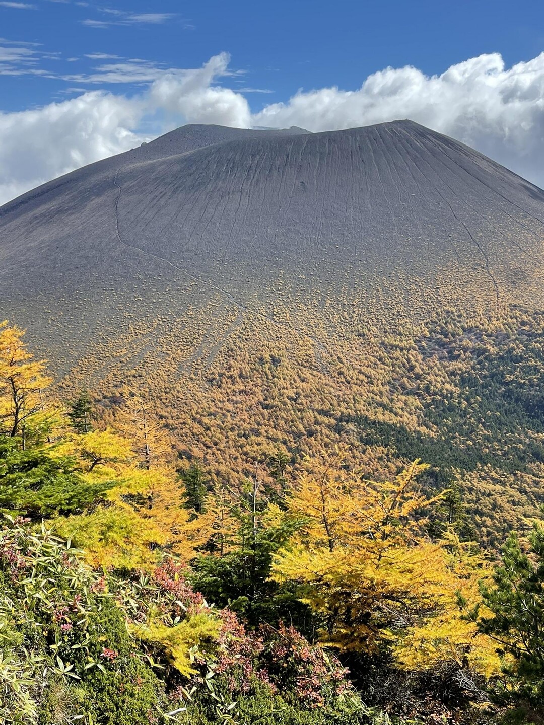 黒斑山2022⑥〜秋🍁×ナンカレー / bar.akiraさんの浅間山・黒斑山・篭ノ登山の活動データ | YAMAP / ヤマップ