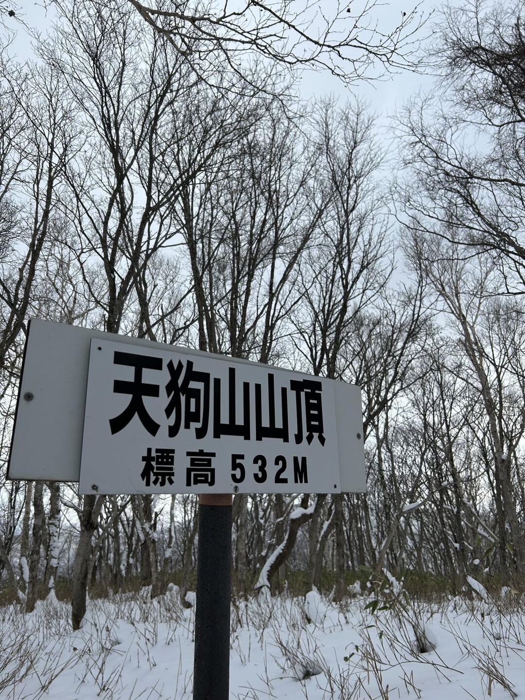 小樽天狗山-41 / yuki_iroさんの塩谷丸山・於古発山の活動データ | YAMAP / ヤマップ