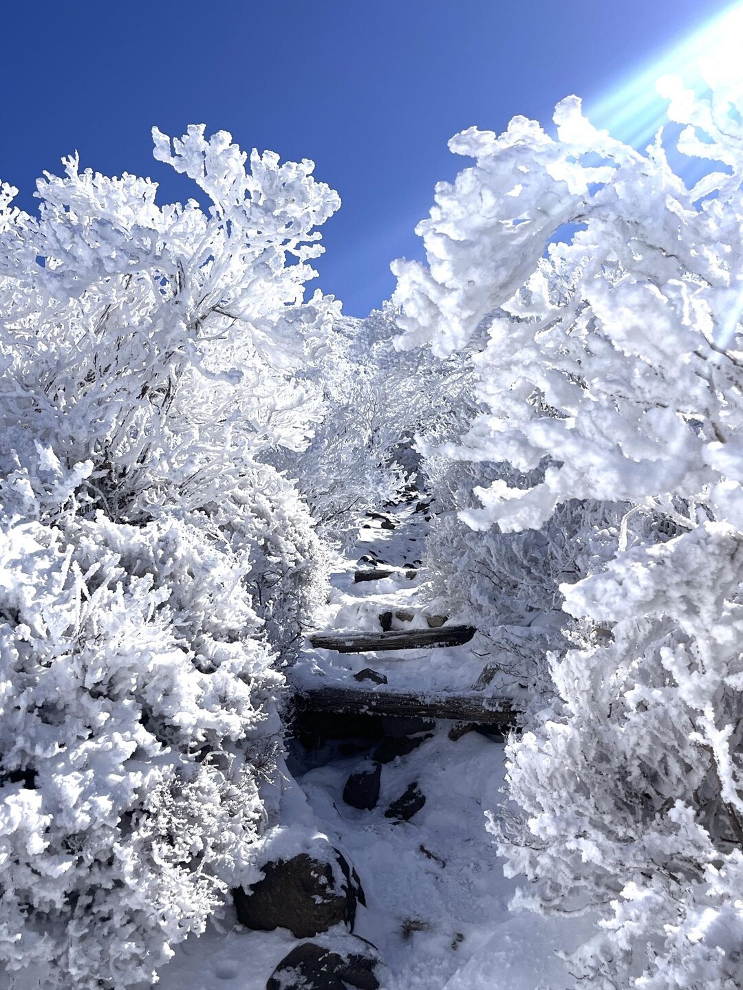 2024.01.25(木) 06:56 / たま🥰さんのモーメント | YAMAP / ヤマップ