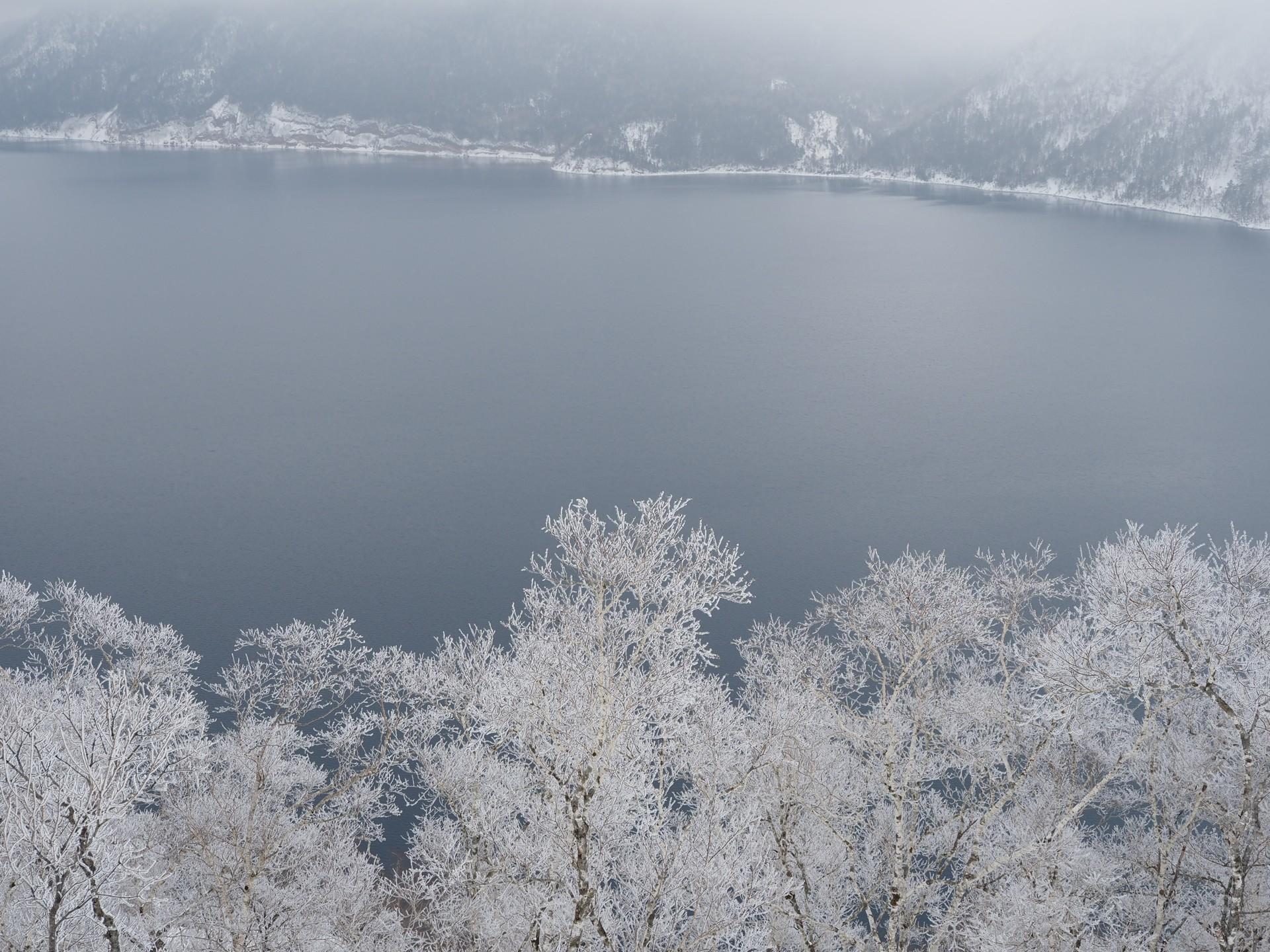 道東最終日です。結局キタキツネには会えず... / Okamonさんのモーメント | YAMAP / ヤマップ