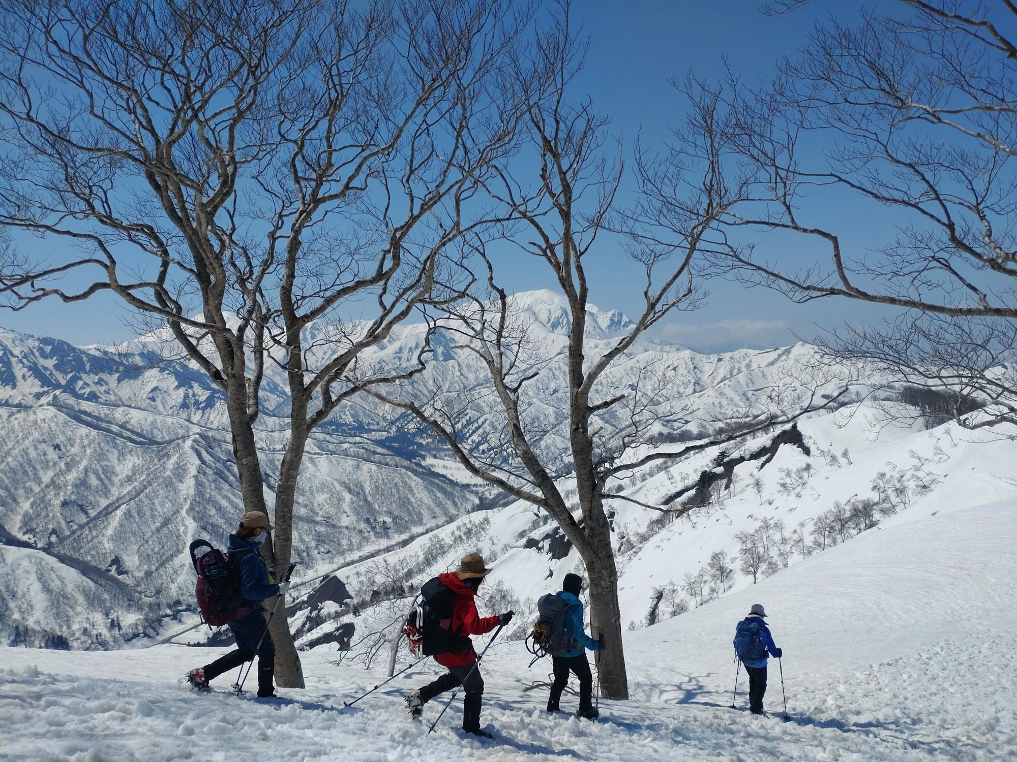 20250412 残雪期限定⛄️日向倉山⛰ / むぐむぐ。さんの未丈ヶ岳の活動データ | YAMAP / ヤマップ
