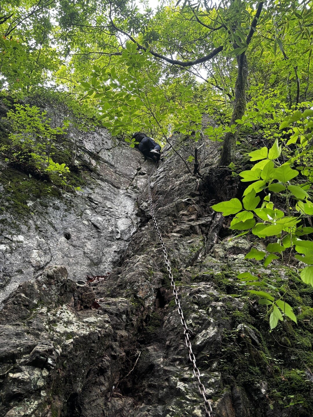 四阿屋山 つつじ新道 / ken-sukeさんの四阿屋山の活動データ | YAMAP / ヤマップ