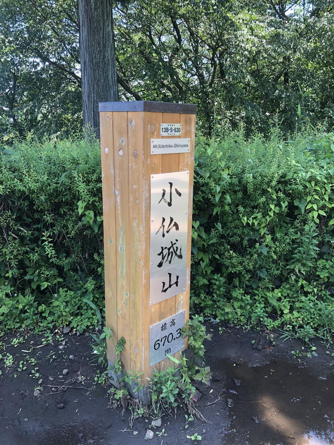 高尾山・小仏城山-2023-07-02 / 🐰Lininha(Lina)🐢🐇さんの高尾山・陣馬山・景信山の活動データ | YAMAP / ヤマップ