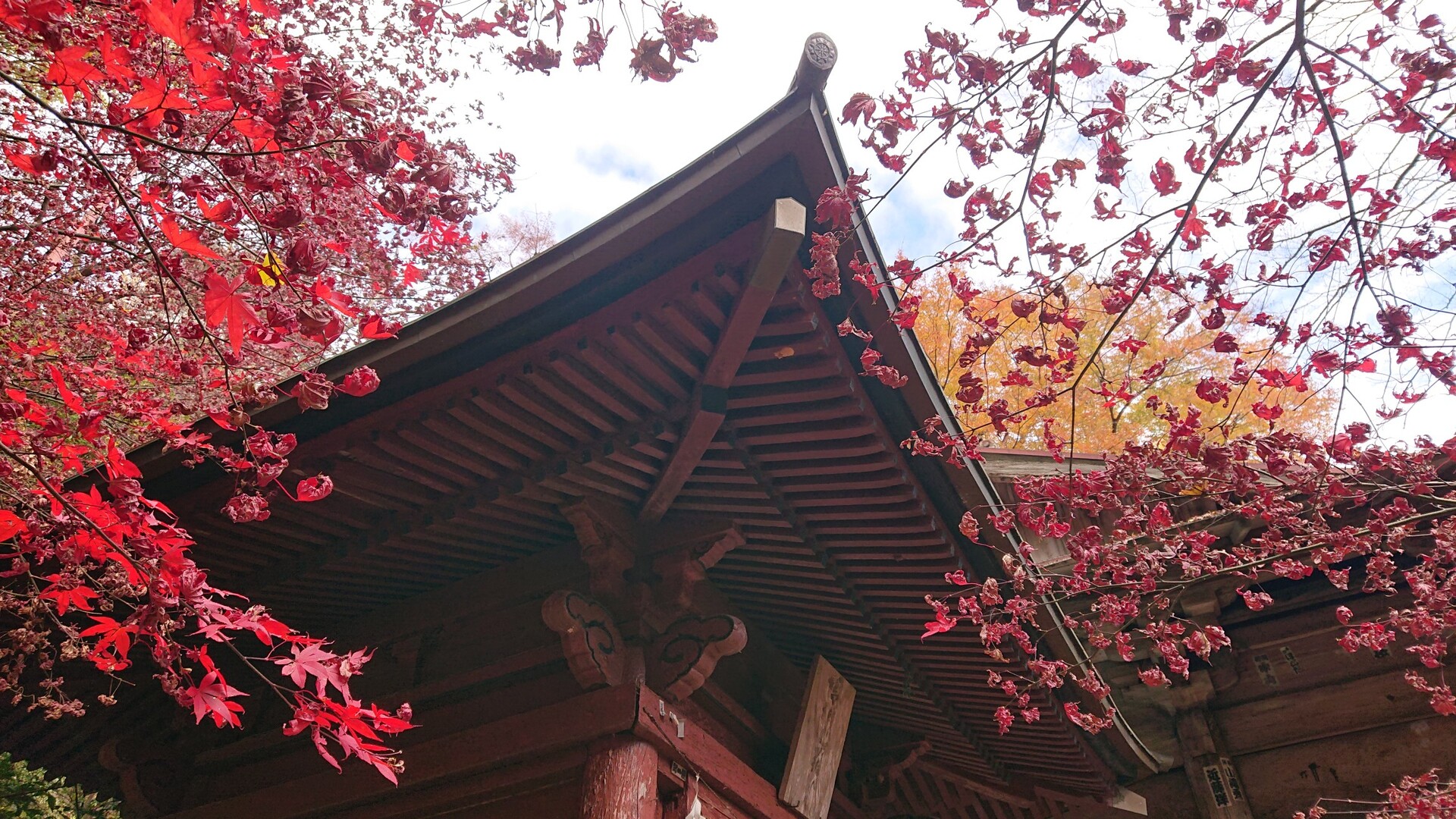 大山 / totoさんの塔ノ岳・丹沢山・蛭ヶ岳の活動データ | YAMAP / ヤマップ
