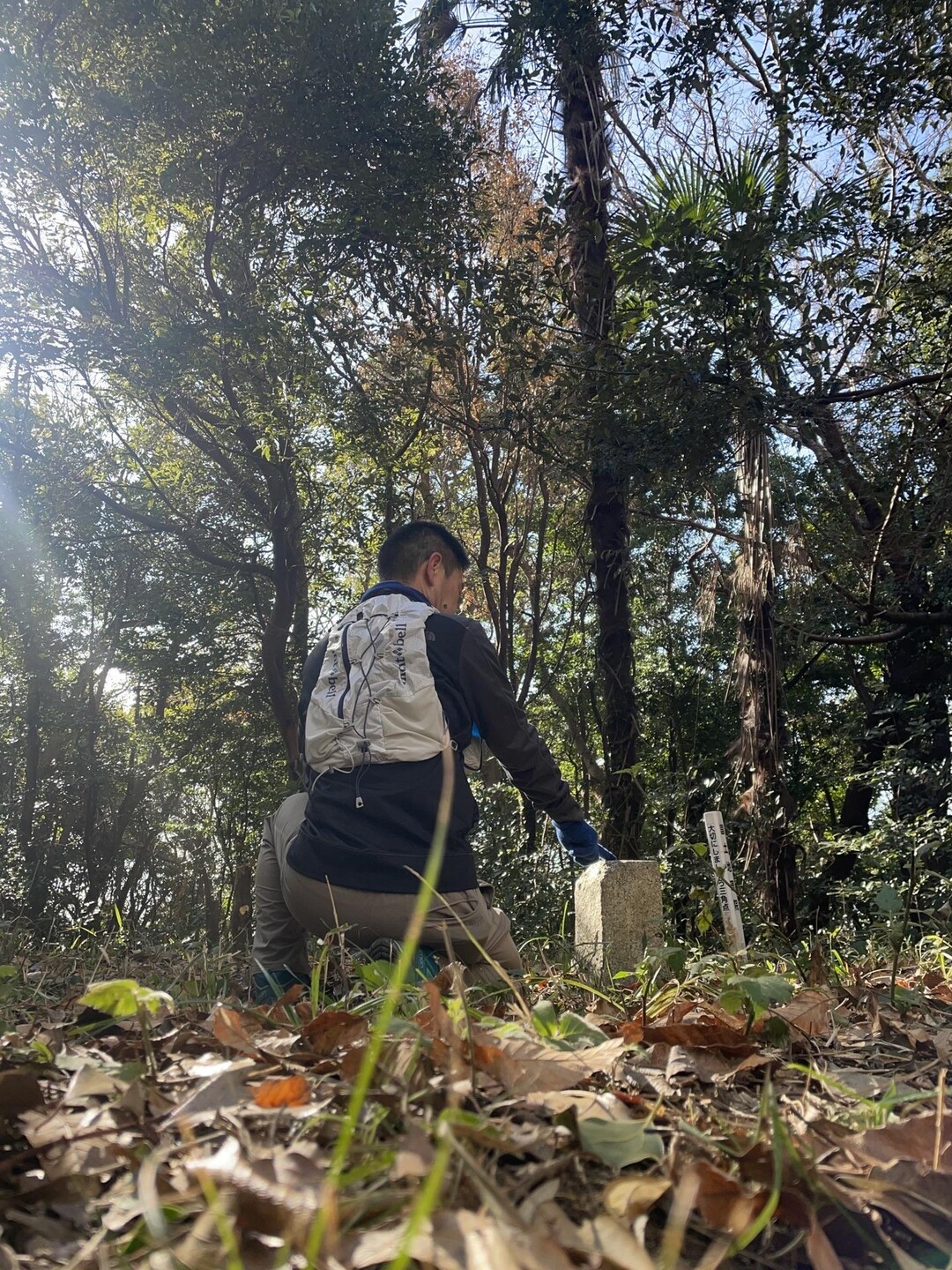 おまけの山登り 粭山 / Seiji517さんの大津島の活動データ | YAMAP / ヤマップ